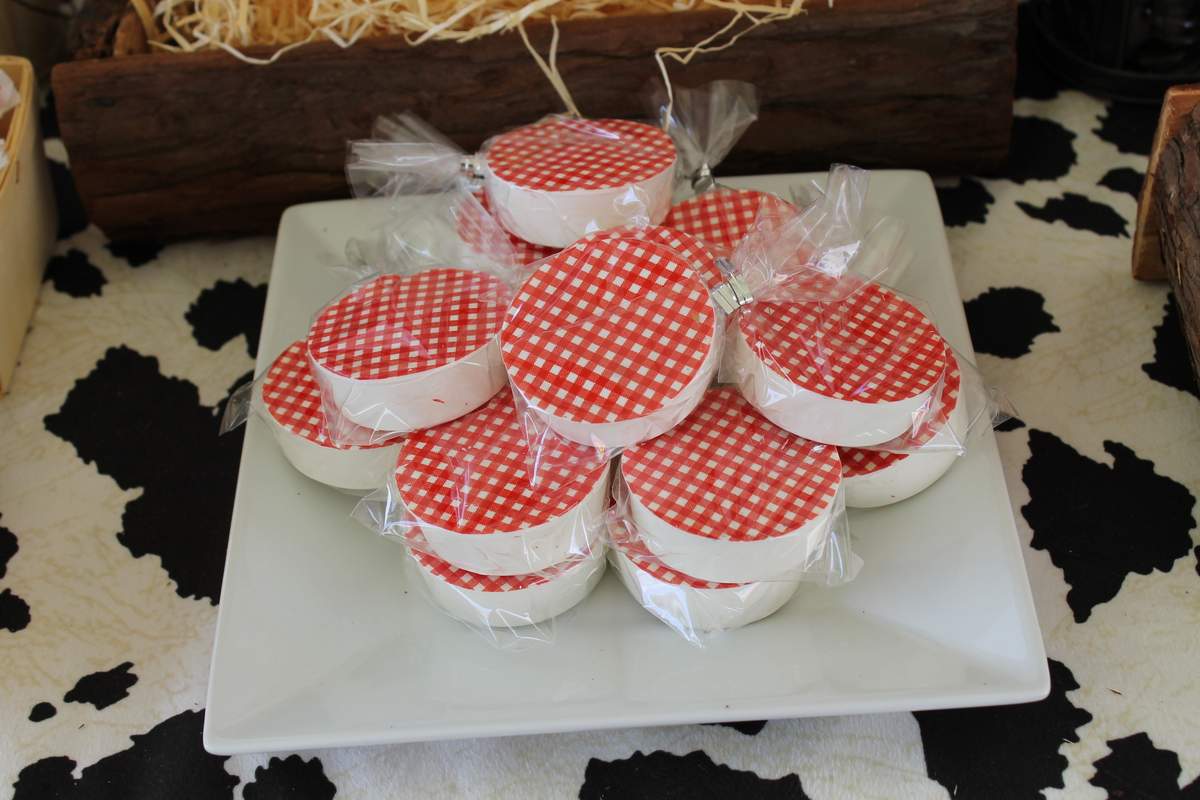 Farm Barn Birthday Party Ideas | Photo 37 of 95 | Catch My Party