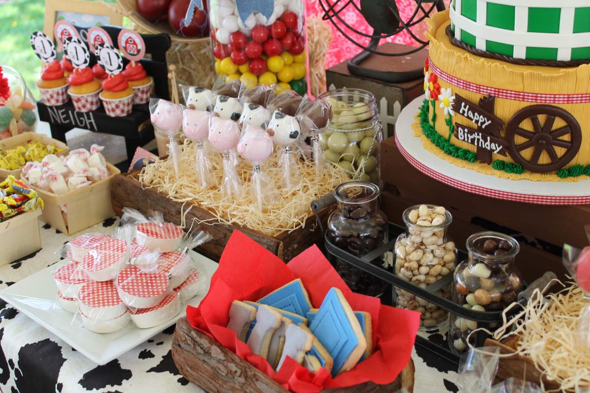 Farm Barn Birthday Party Ideas | Photo 37 of 95 | Catch My Party