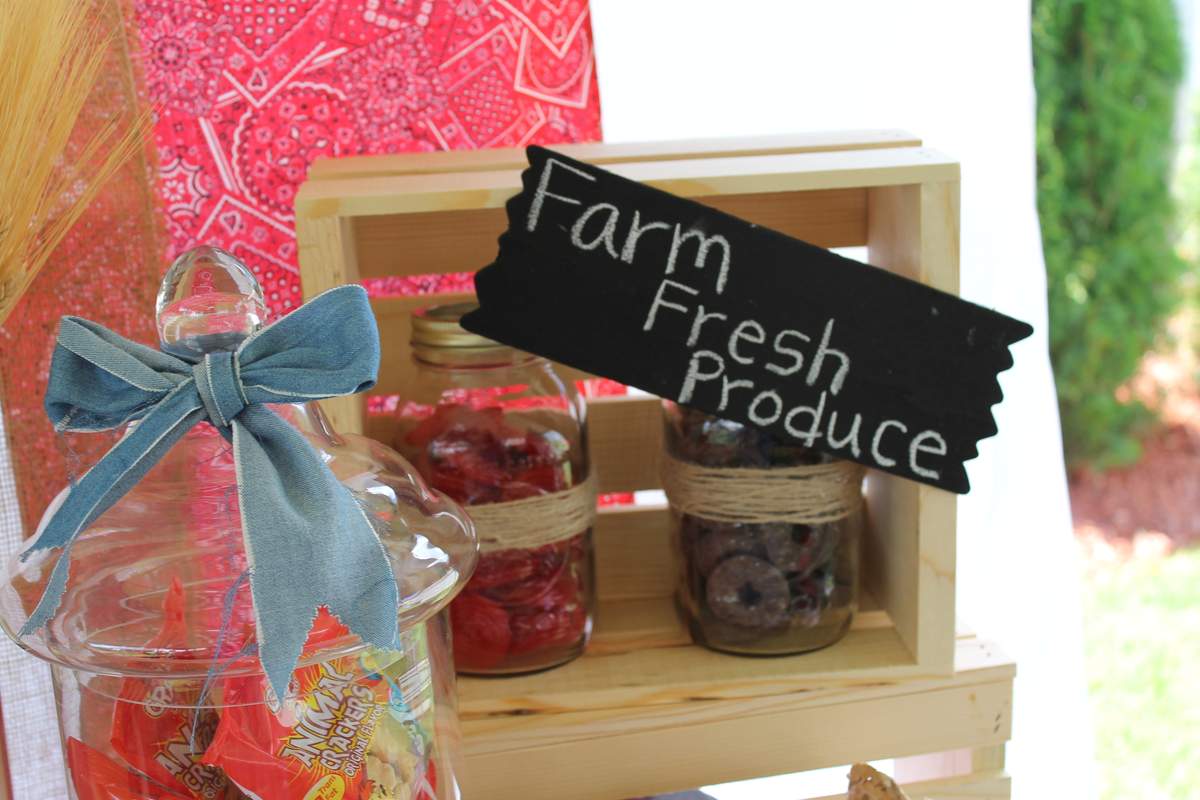 Farm Barn Birthday Party Ideas | Photo 1 of 95 | Catch My Party
