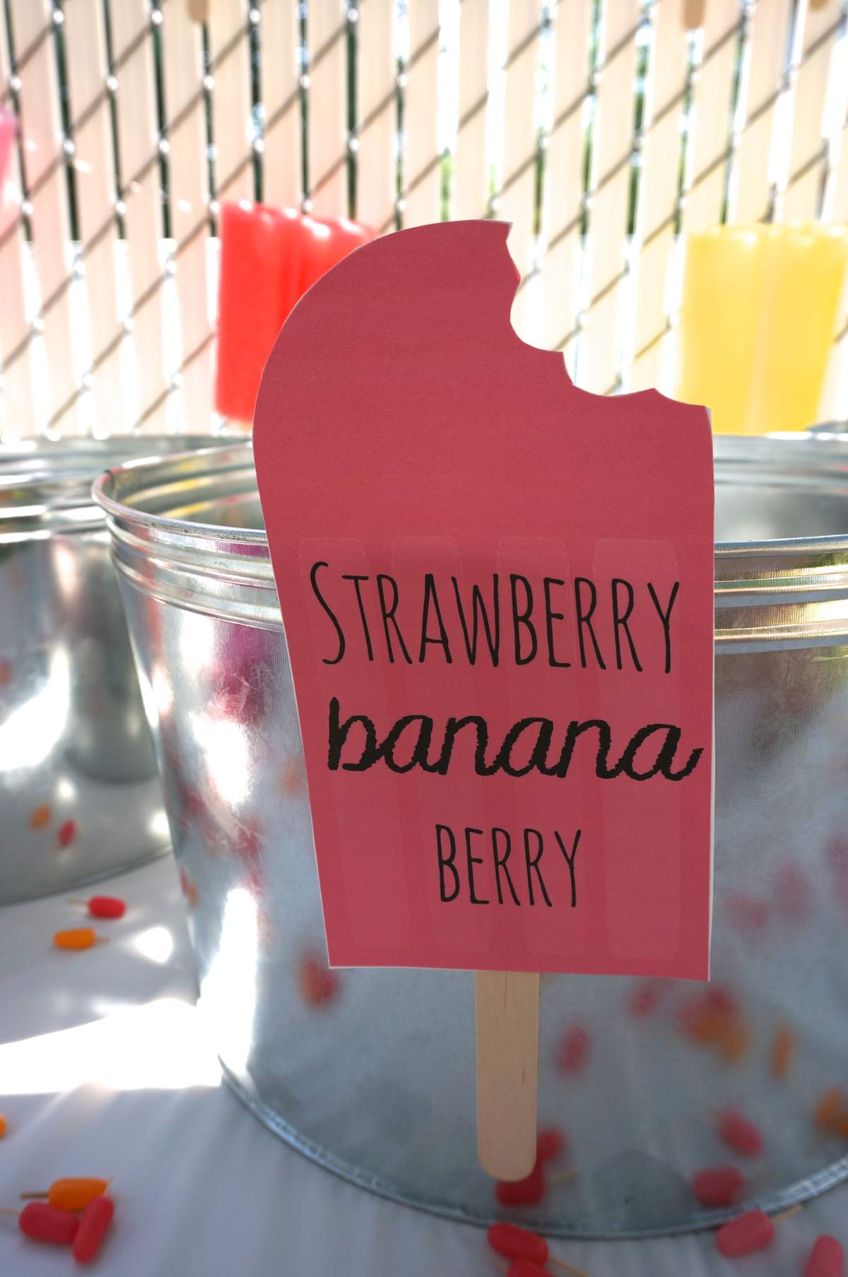 Popsicles! Birthday Party Ideas | Photo 1 of 14 | Catch My Party