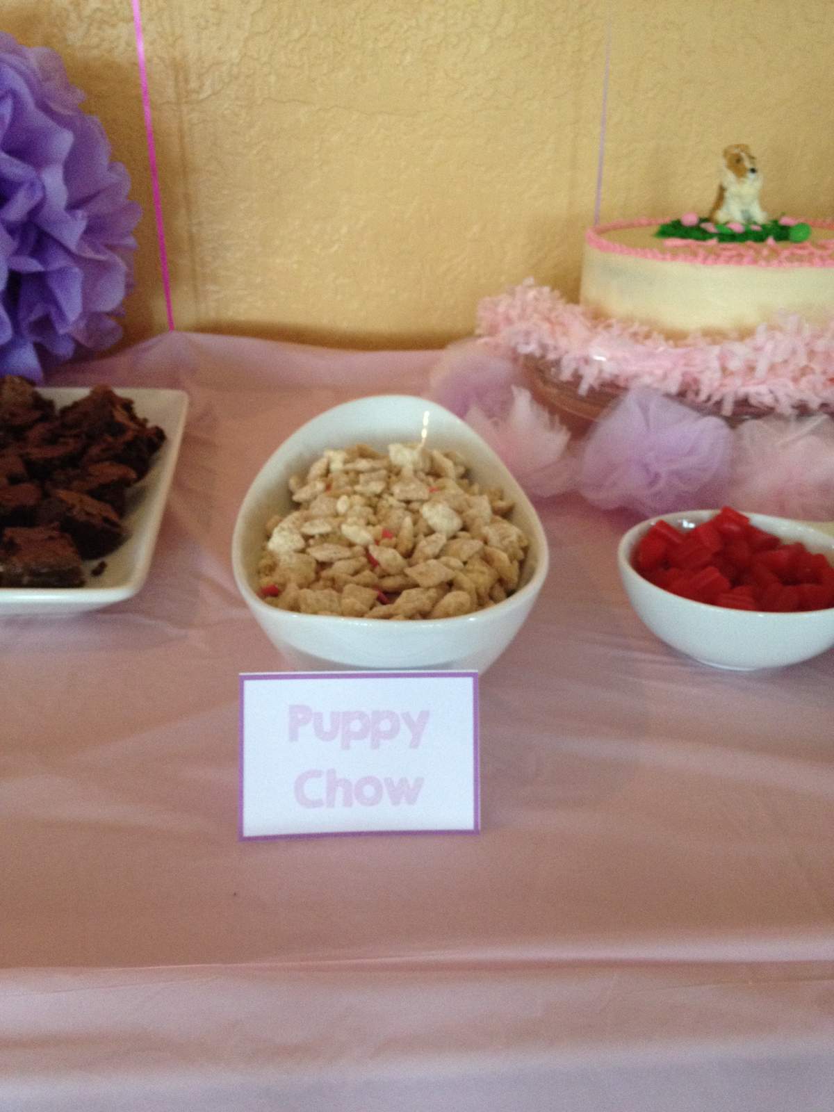 Adopt a Puppy Birthday Party Ideas | Photo 14 of 28 | Catch My Party