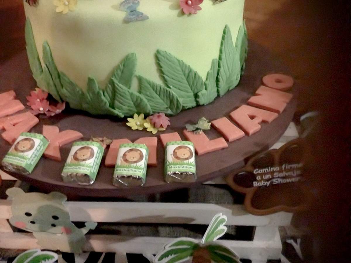 Safary Baby Shower Party Ideas | Photo 10 of 13 | Catch My Party