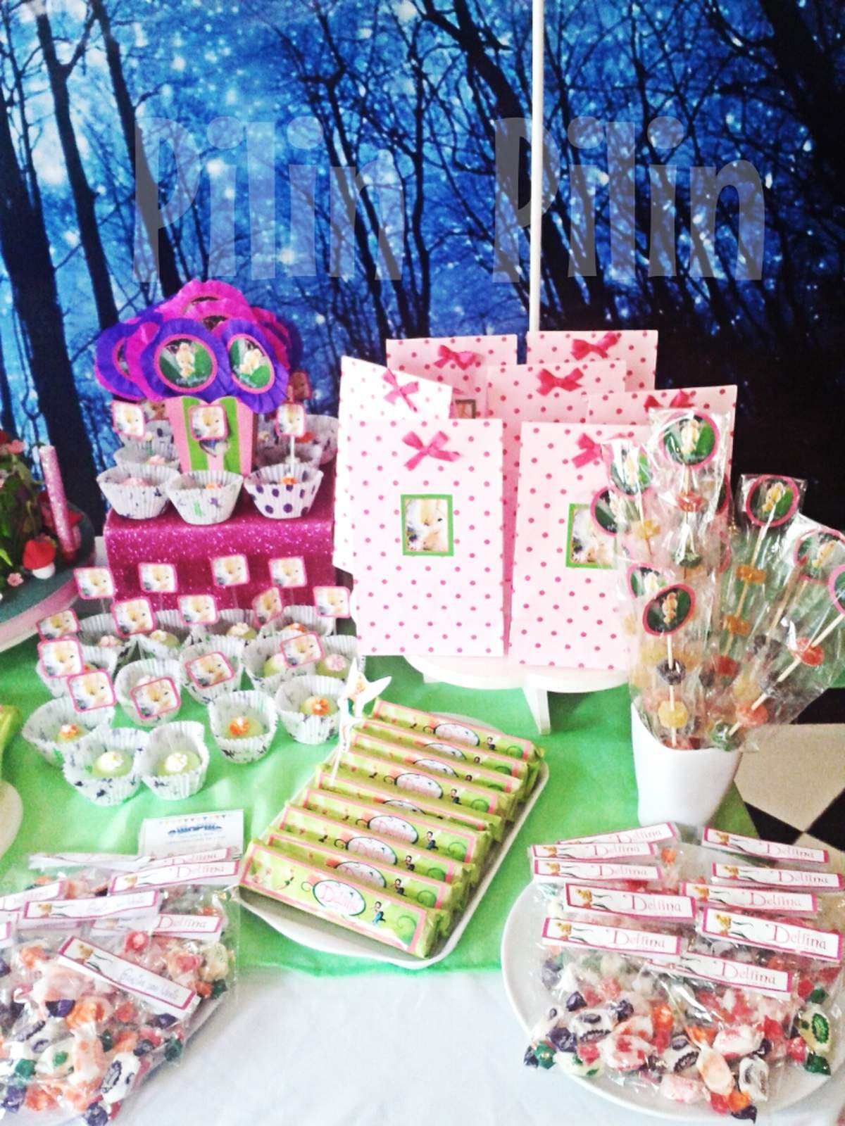 Tinkerbell Birthday Party Ideas | Photo 4 of 21 | Catch My Party