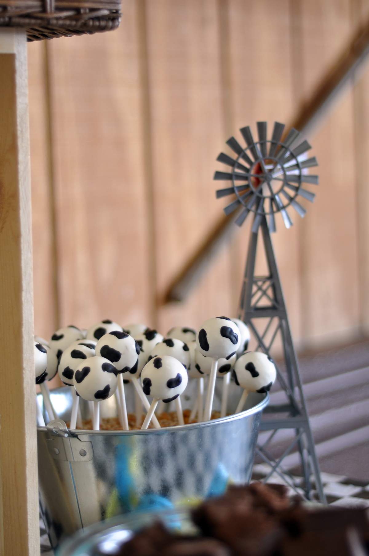 County Fair Birthday Party Ideas | Photo 1 of 38 | Catch My Party