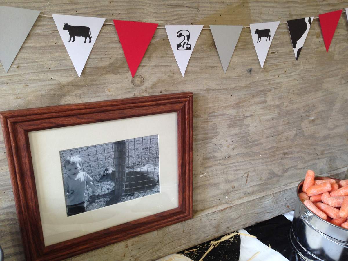Cow/Farm Birthday Party Ideas | Photo 8 of 20 | Catch My Party