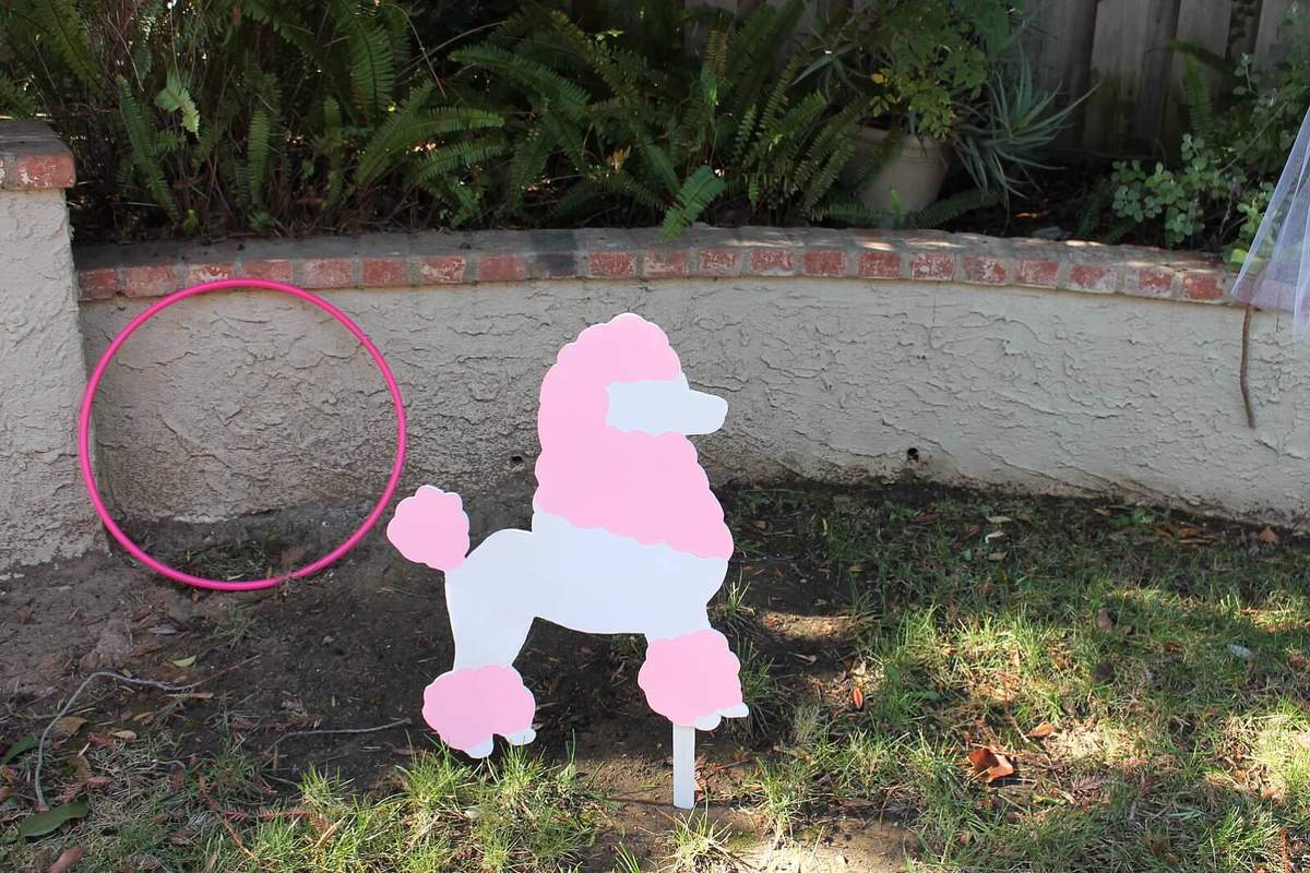 Pink poodle Birthday Party Ideas | Photo 31 of 43 | Catch My Party