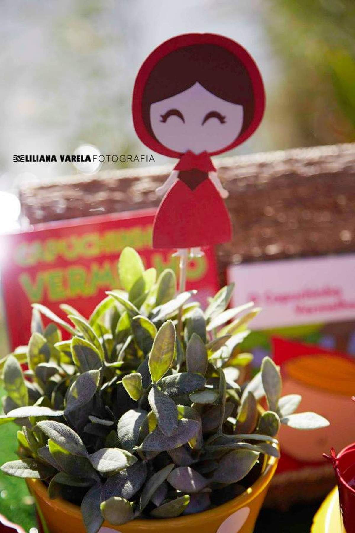 Little Red Riding Hood Birthday Party‏ Birthday Party Ideas | Photo 16 ...