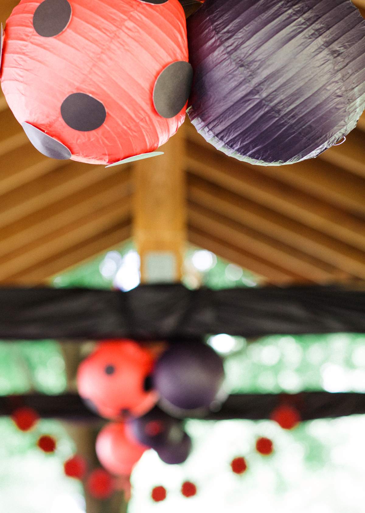 Ladybugs Birthday Party Ideas | Photo 10 of 15 | Catch My Party