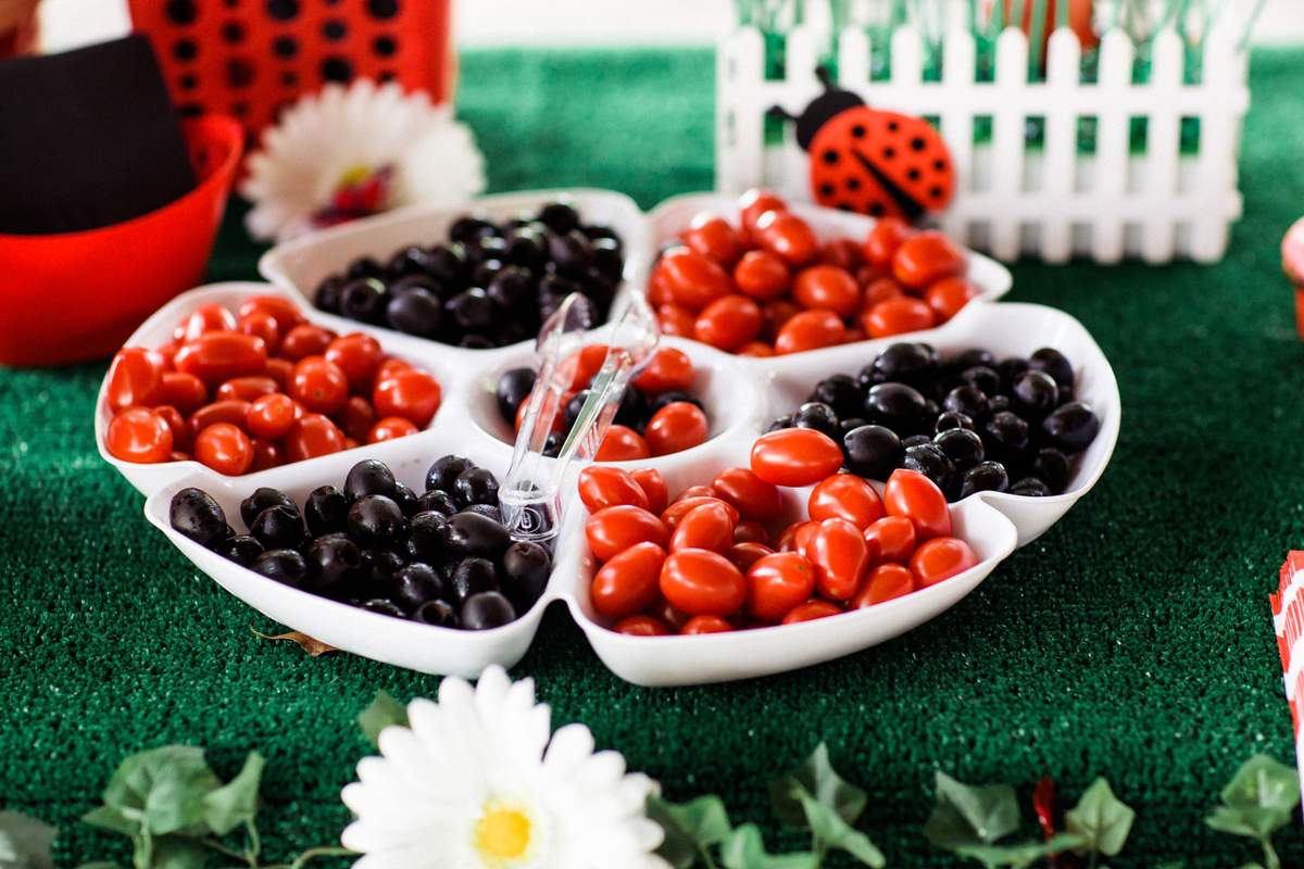 Ladybugs Birthday Party Ideas | Photo 10 of 15 | Catch My Party