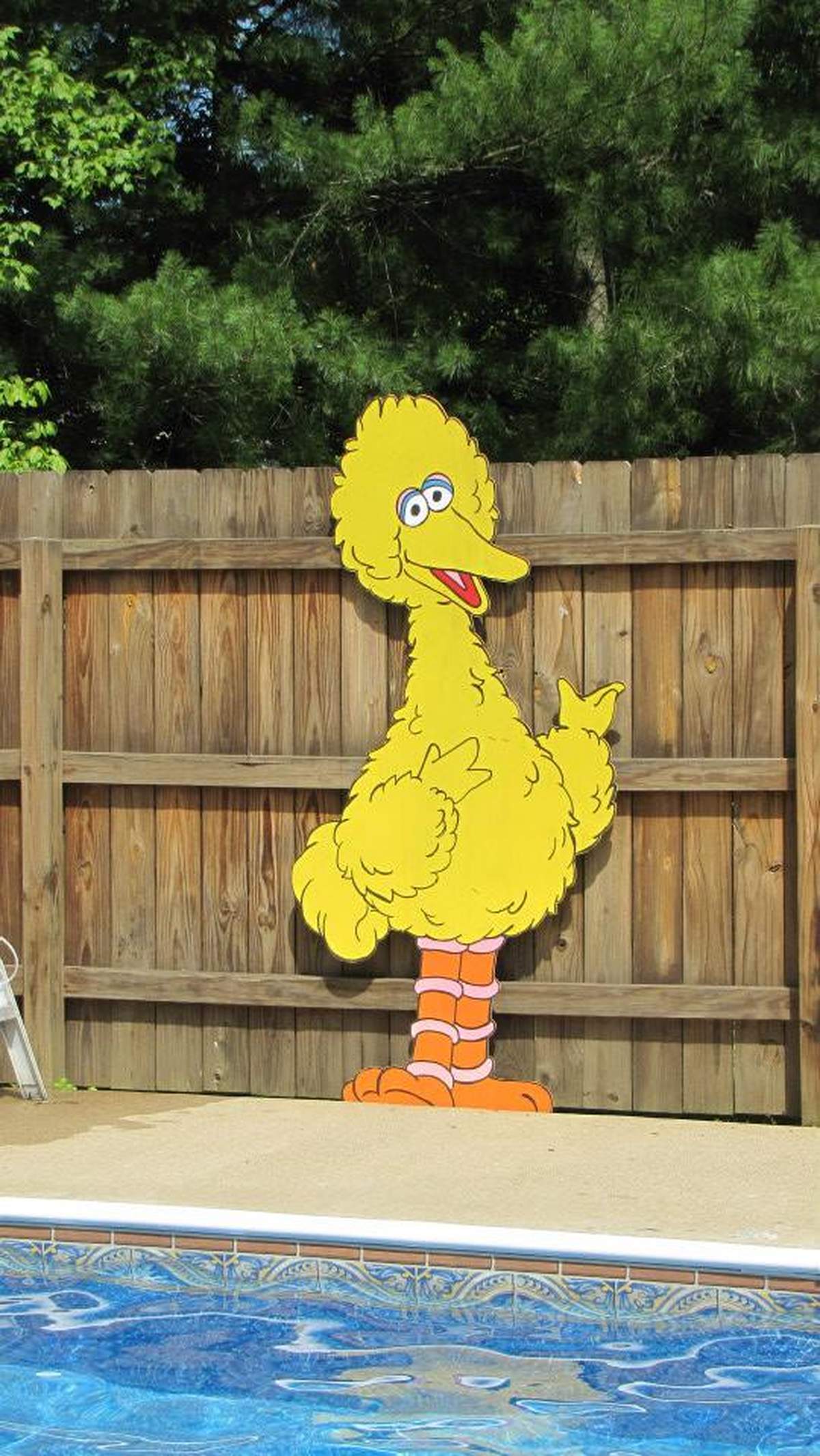 Sesame Street Birthday Party Ideas | Photo 11 of 16 | Catch My Party