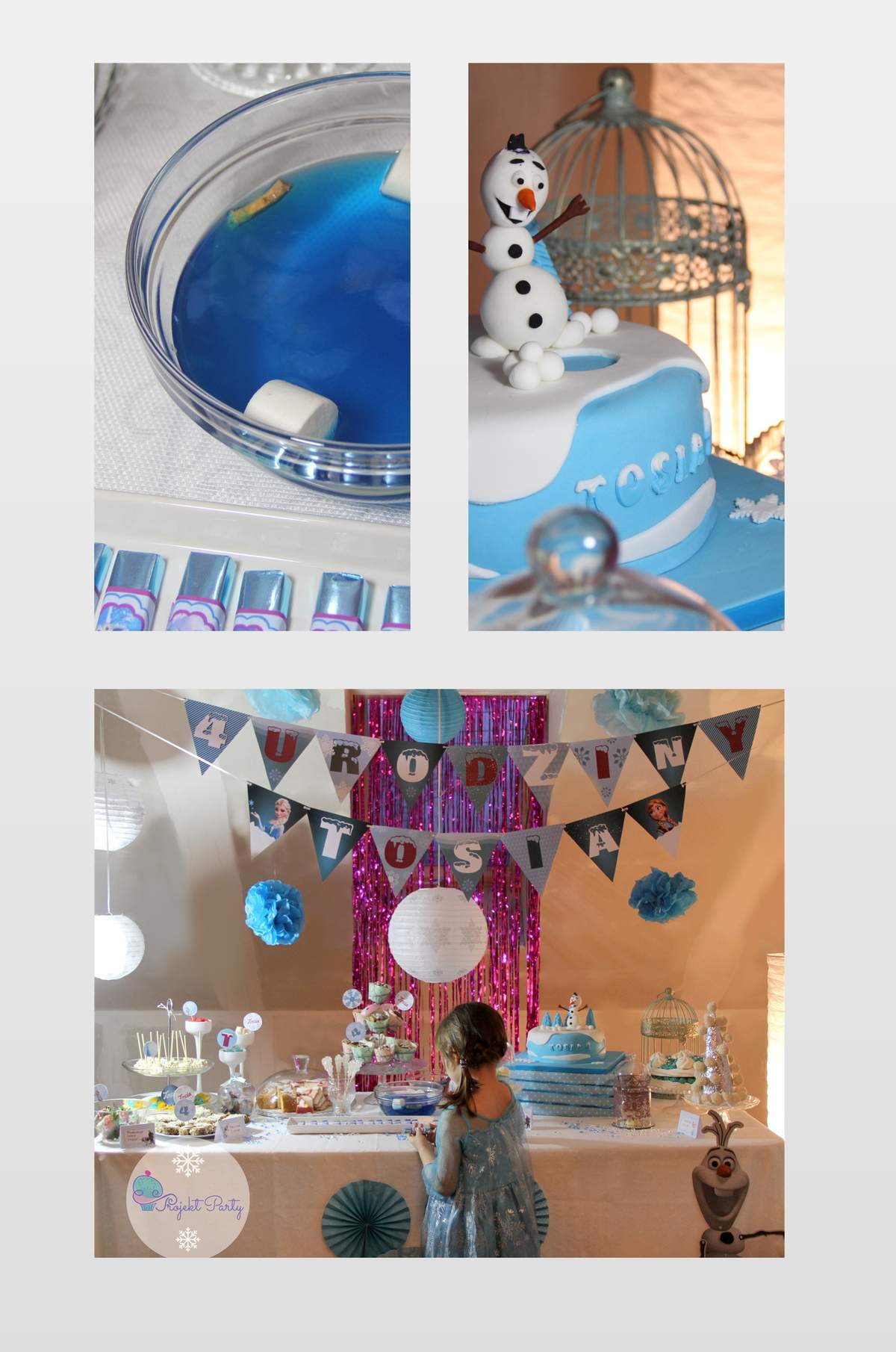 Frozen (Disney) / Birthday "4th birthday - Frozen" | Catch My Party