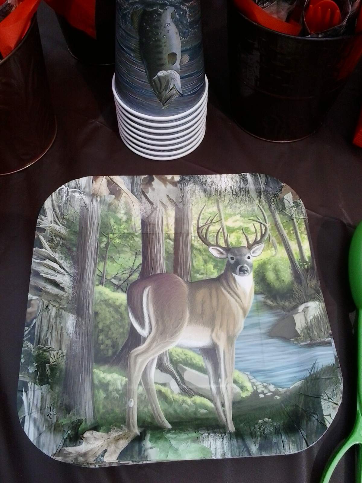 Hunting Birthday Party Ideas | Photo 5 of 16 | Catch My Party