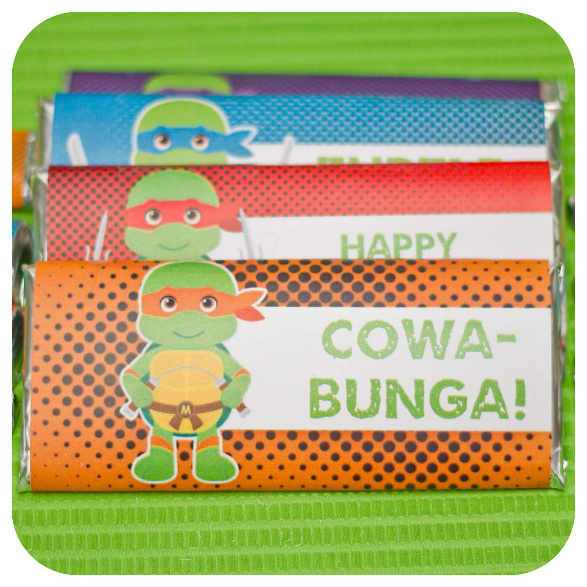 Teenage Mutant Ninja Turtles Birthday Party Ideas | Photo 7 of 36 ...