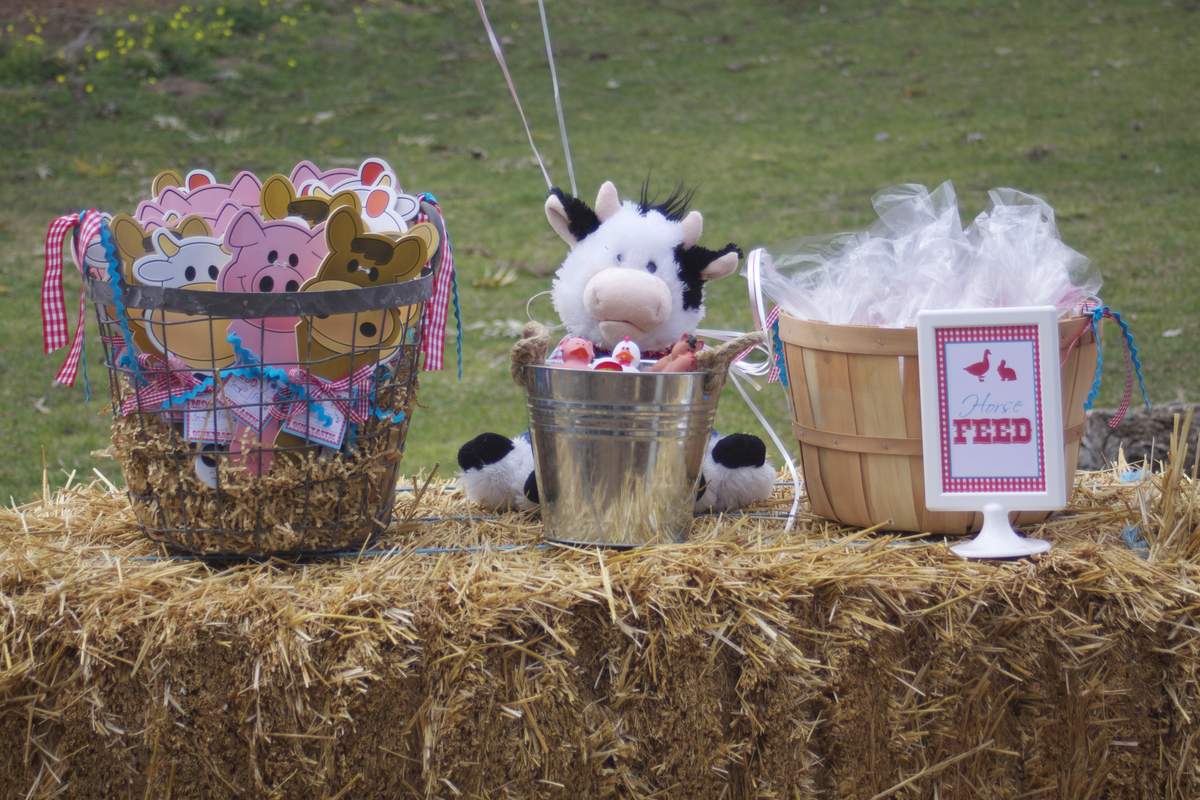 Down on the Farm Birthday Party Ideas | Photo 2 of 35 | Catch My Party