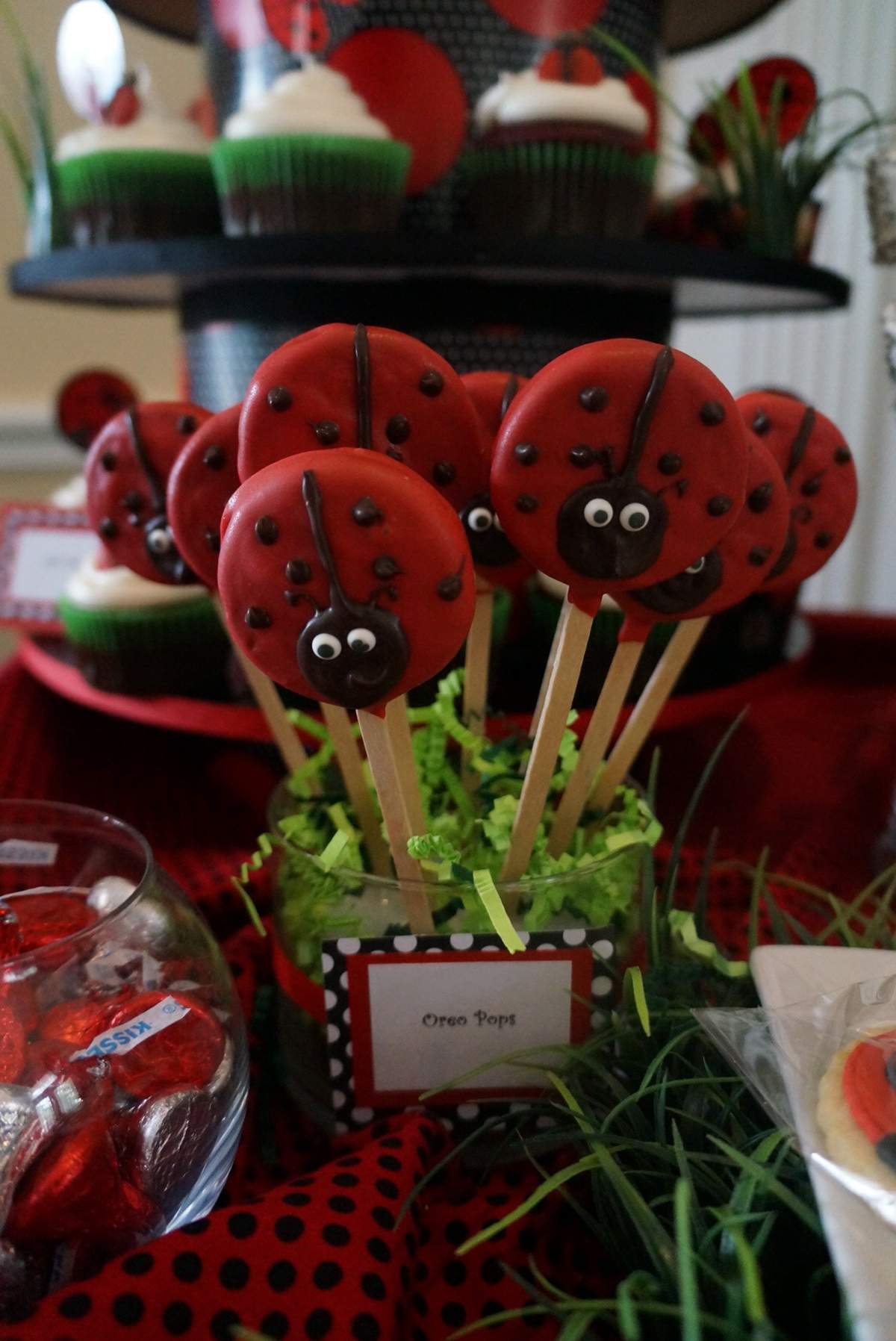 Lady Bug Birthday Party Ideas | Photo 1 of 12 | Catch My Party