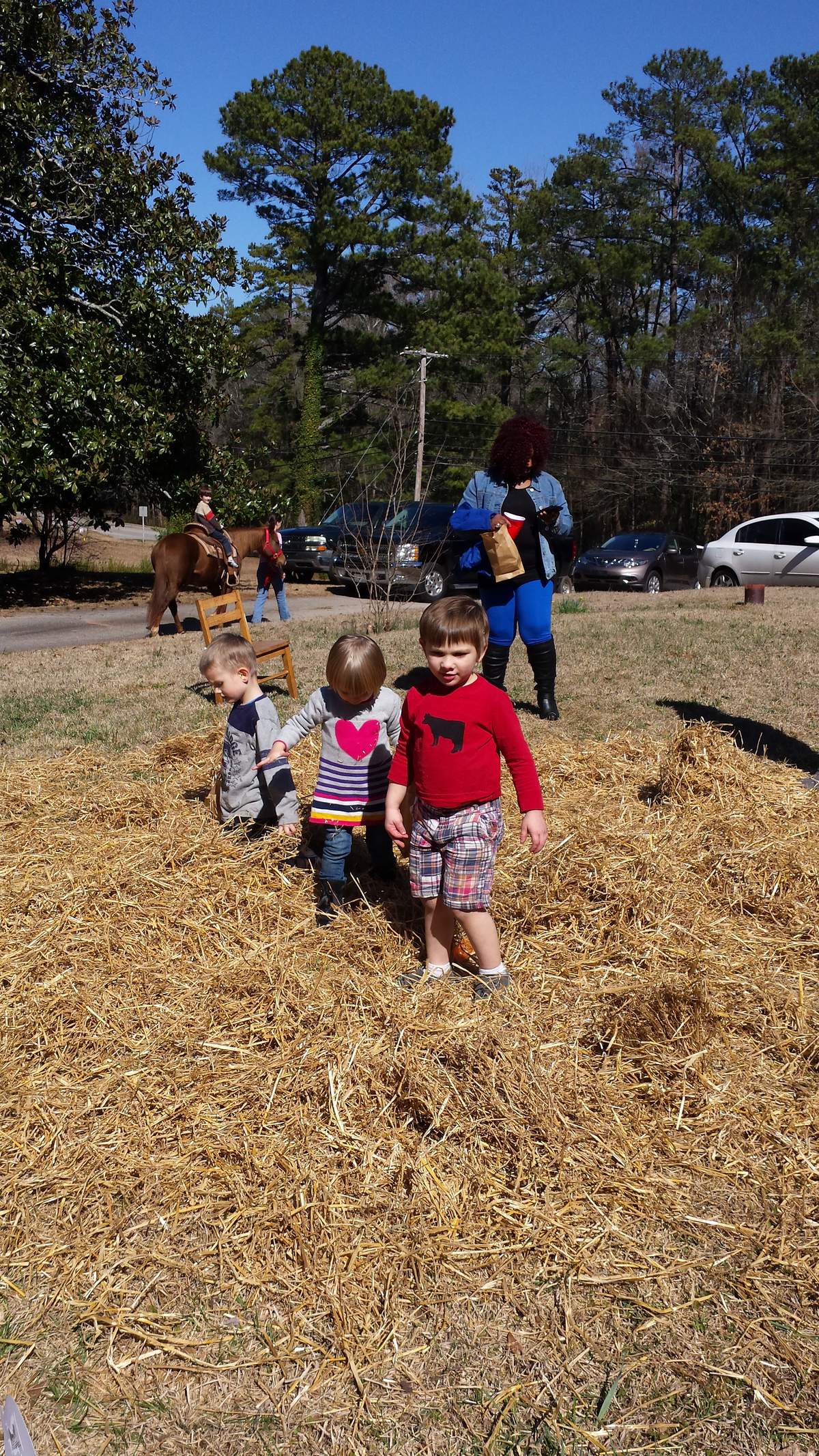 Farm Party Birthday Party Ideas | Photo 13 of 13 | Catch My Party
