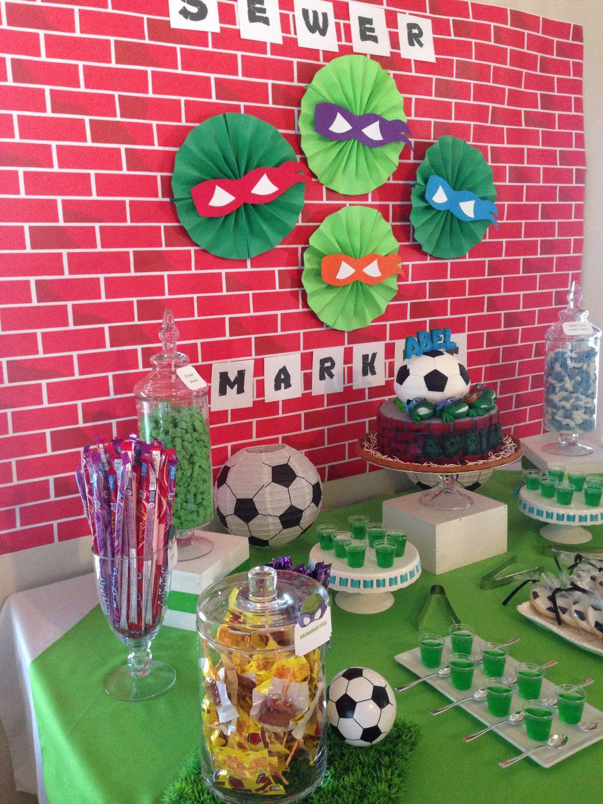 Teenage Mutant Ninja Turtles Birthday Party Ideas | Photo 2 of 9 ...