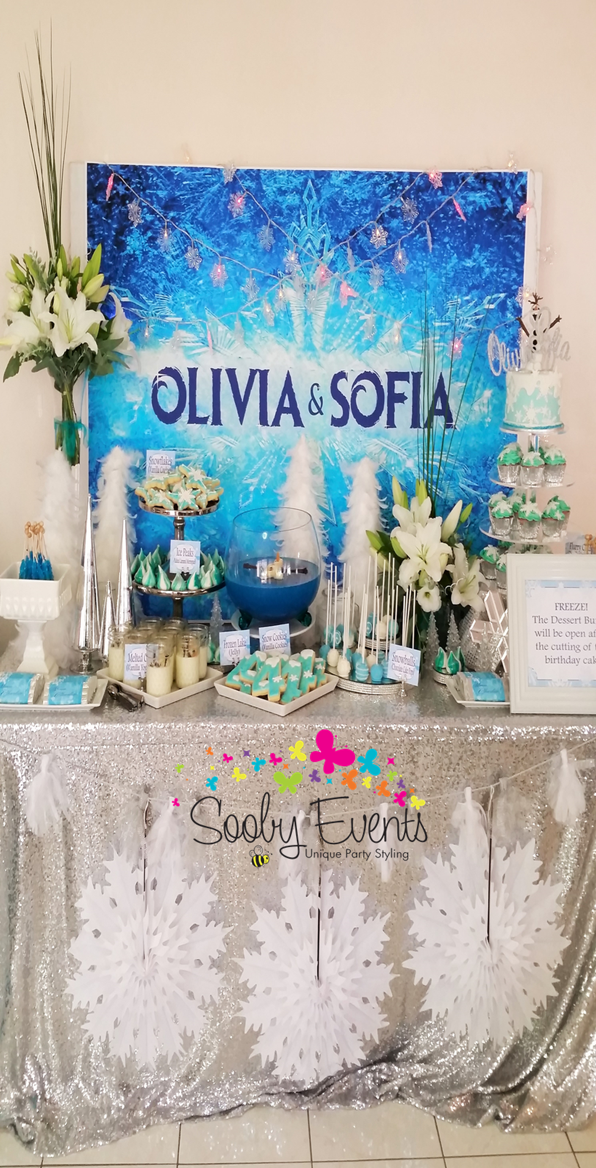 Snowflake Frozen Birthday Party Ideas | Photo 9 of 19 | Catch My Party