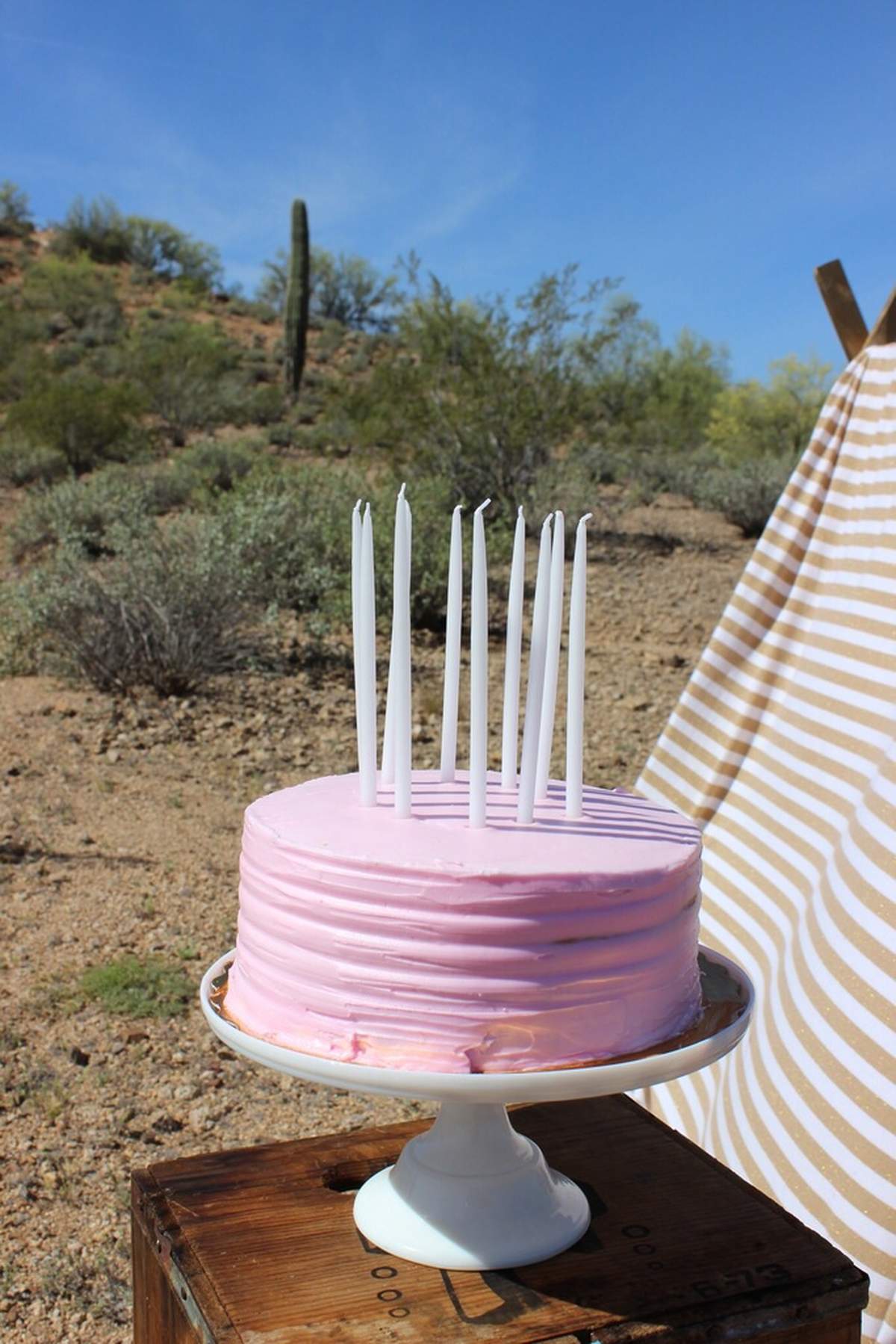 Native birthday Birthday Party Ideas | Photo 20 of 38 | Catch My Party