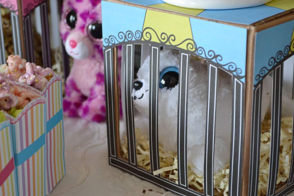 rainbow zoo Birthday Party Ideas | Photo 23 of 34 | Catch My Party