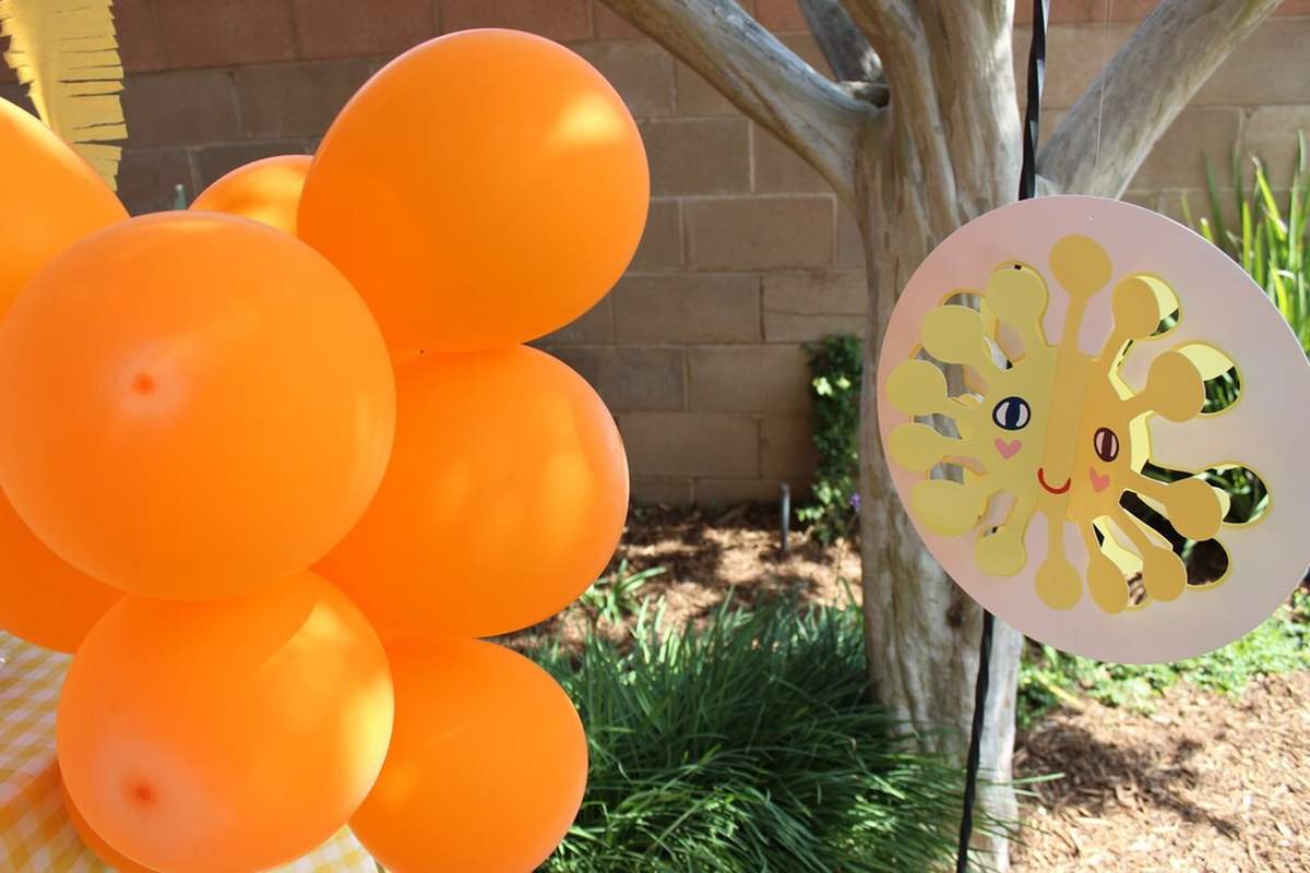 Sunshine Birthday Party Ideas | Photo 67 of 68 | Catch My Party