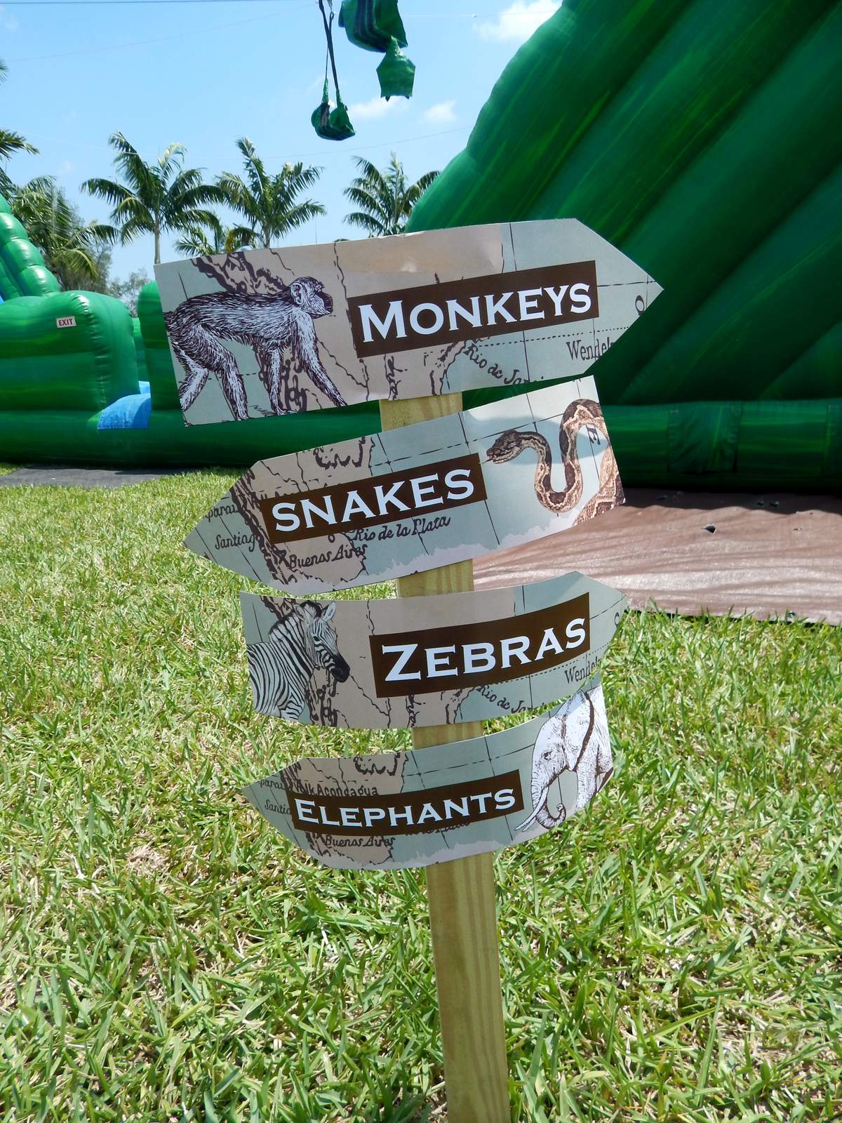 Safari Adventure Party Birthday Party Ideas | Photo 1 of 39 | Catch My ...