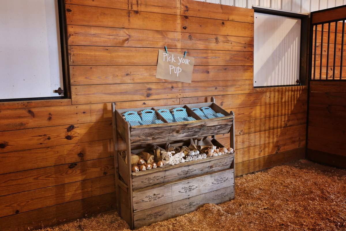 Puppy Party Birthday Party Ideas | Photo 8 of 14 | Catch My Party