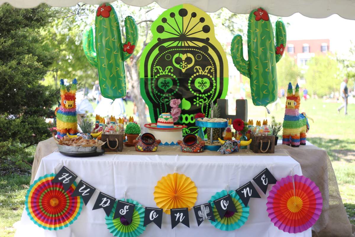 Cinco de Mayo Birthday Party Ideas | Photo 4 of 17 | Catch My Party