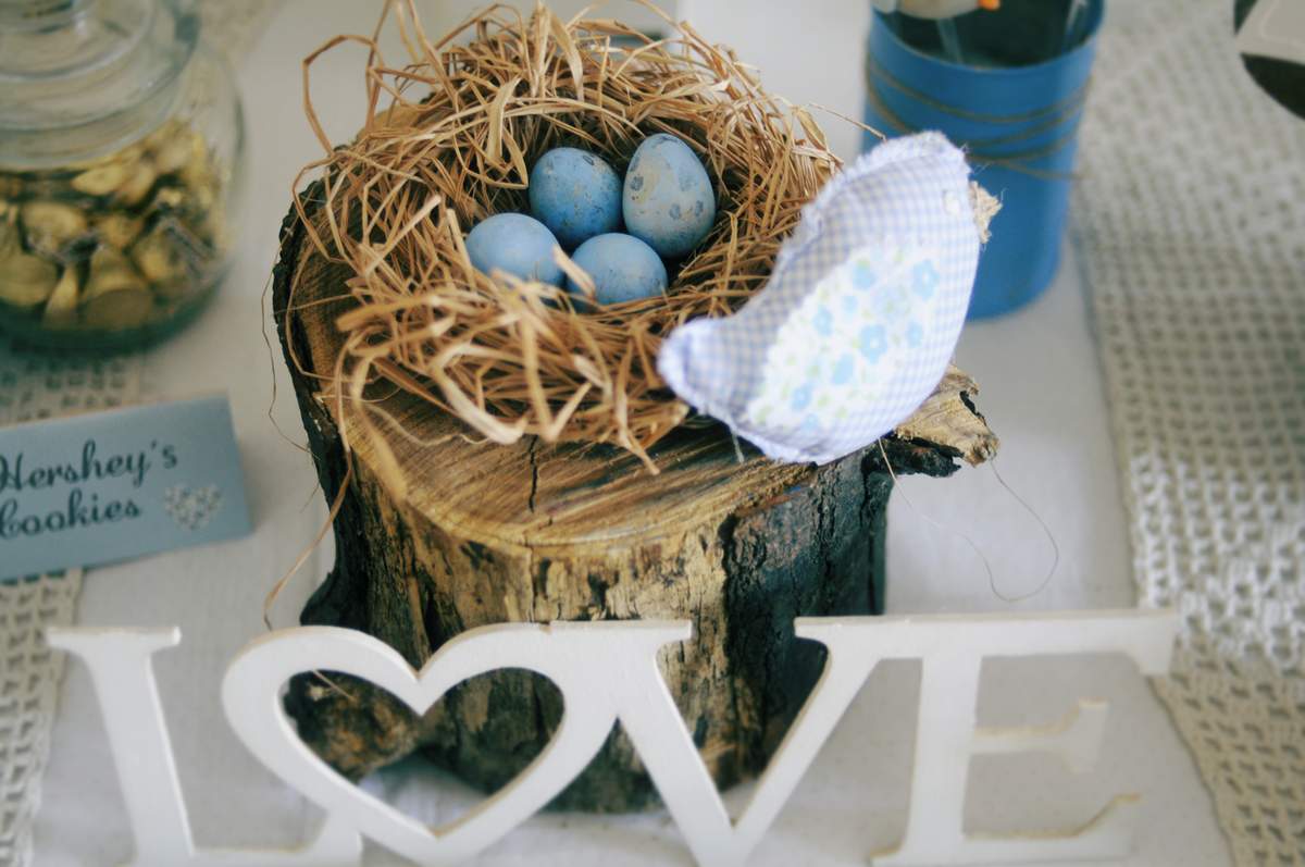 Little bird Baby Shower Party Ideas | Photo 1 of 10 | Catch My Party