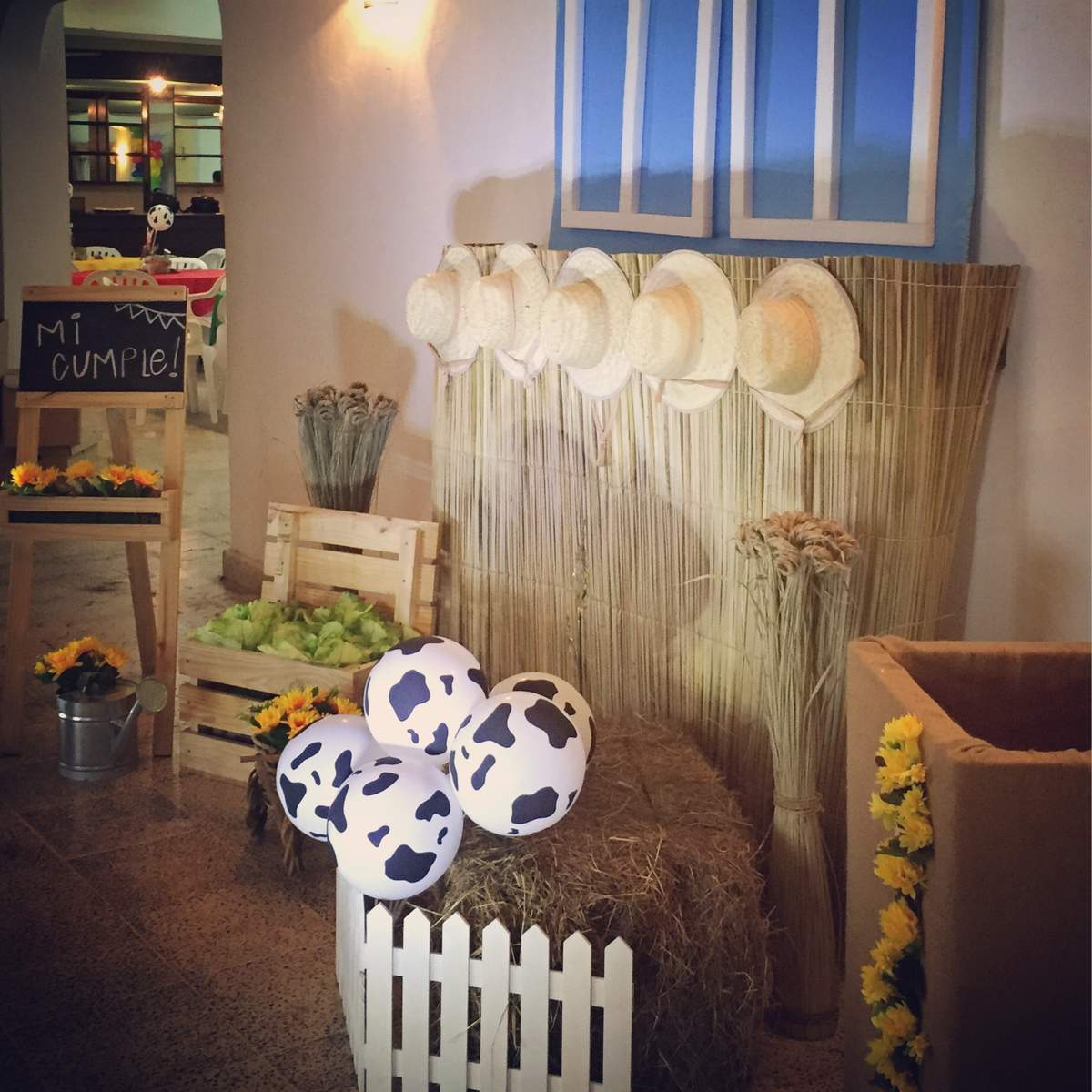 Farm Birthday Party Ideas | Photo 10 of 20 | Catch My Party