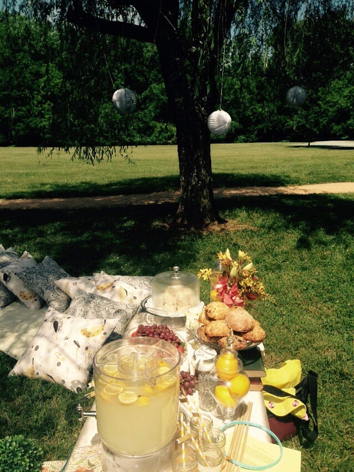 French country picnic in the park Baby Shower Party Ideas | Photo 3 of ...