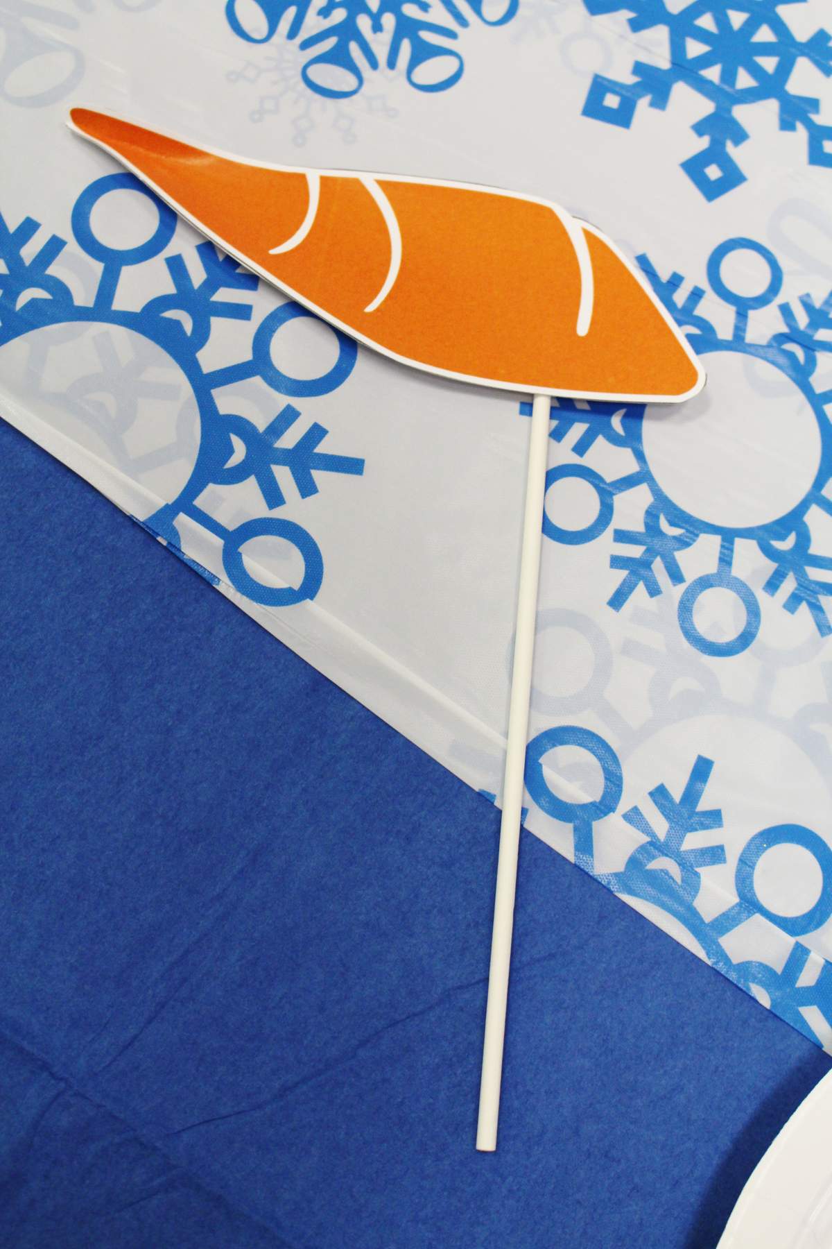 Frozen (Disney) Birthday Party Ideas | Photo 8 of 21 | Catch My Party