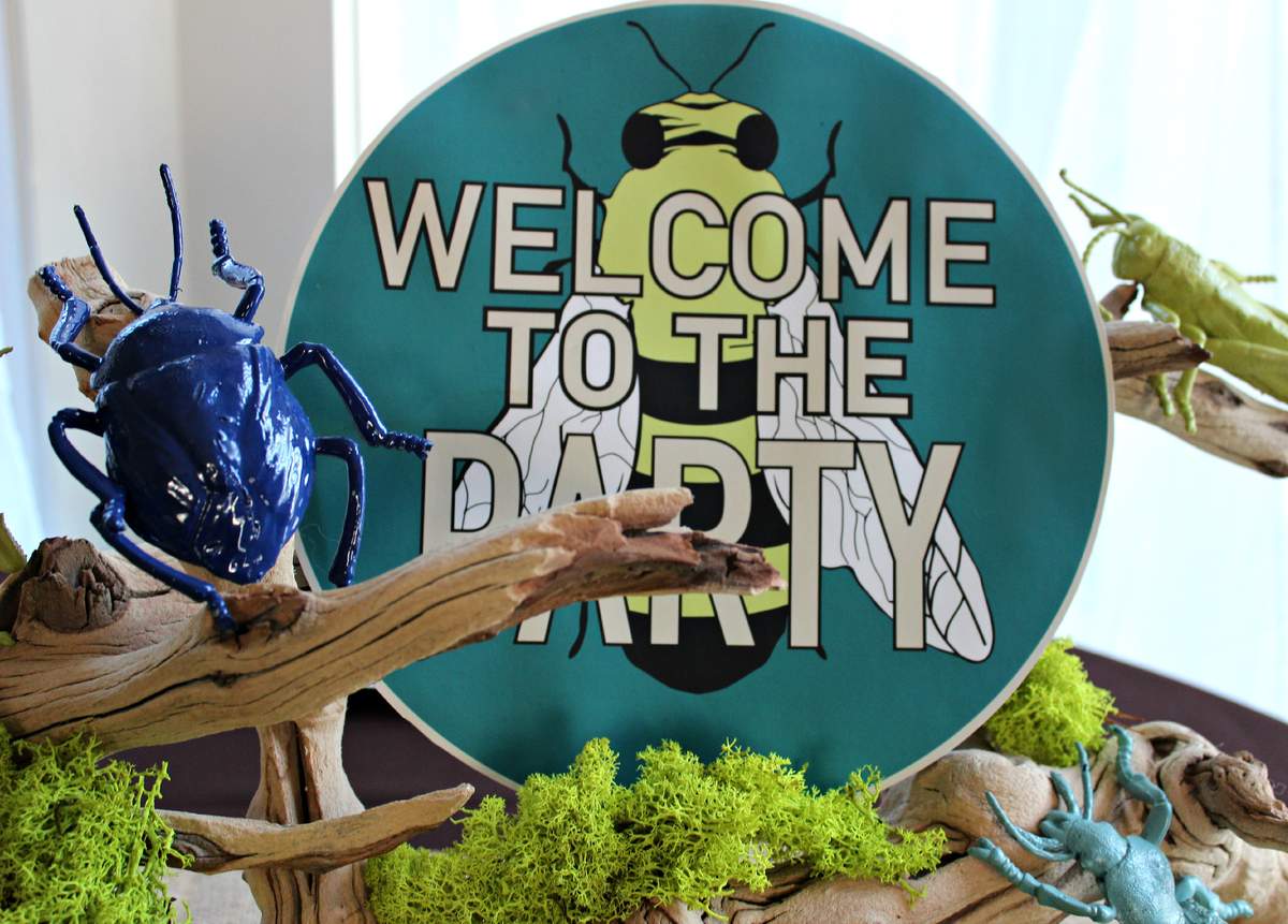Bugs Birthday Party Ideas | Photo 1 of 31 | Catch My Party