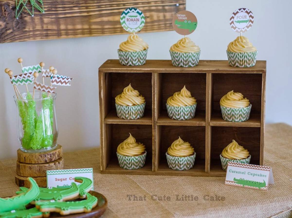 Crocodile, Alligator Birthday Party Ideas | Photo 3 of 11 | Catch My Party
