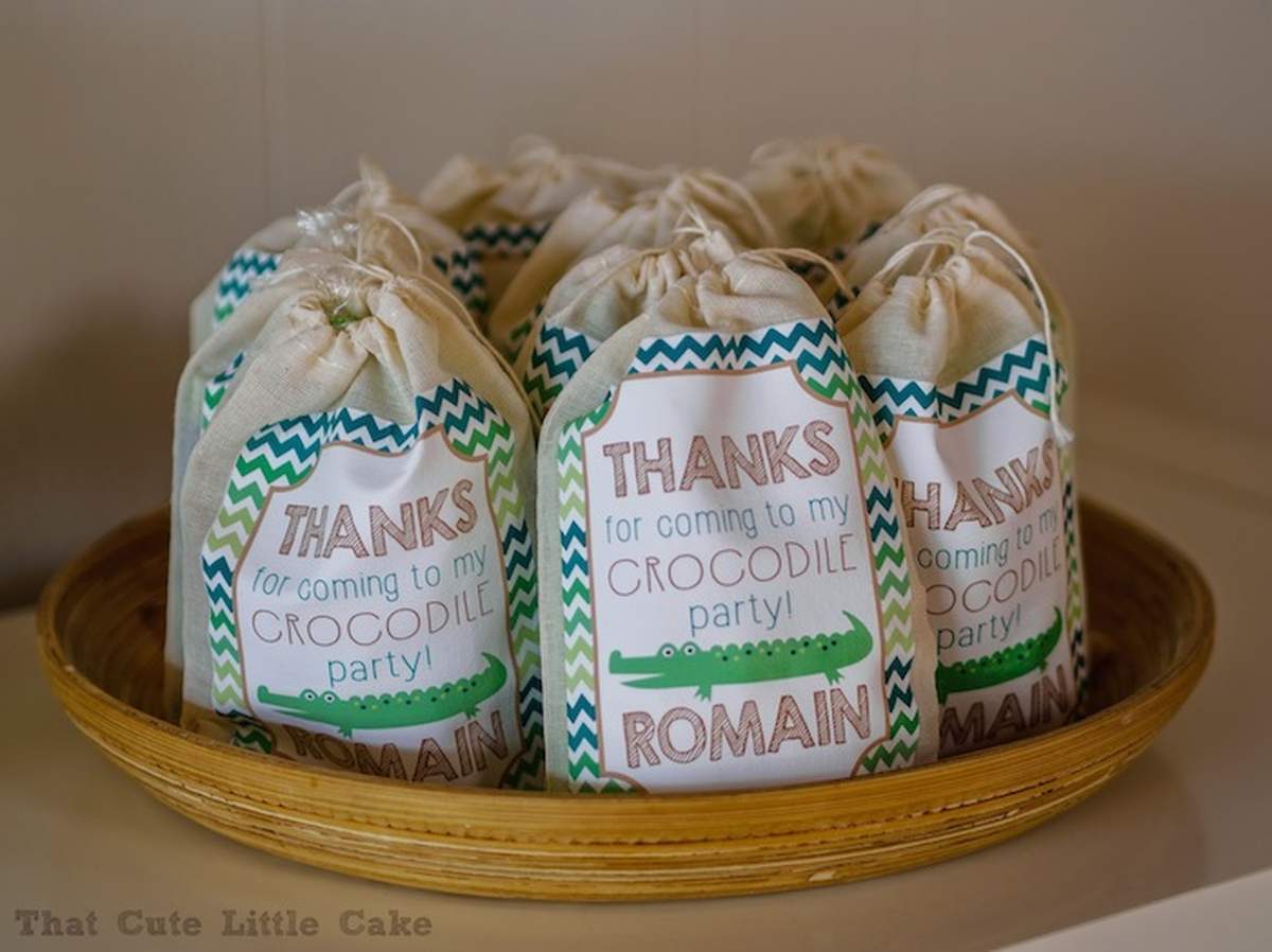 Crocodile, Alligator Birthday Party Ideas | Photo 6 of 11 | Catch My Party