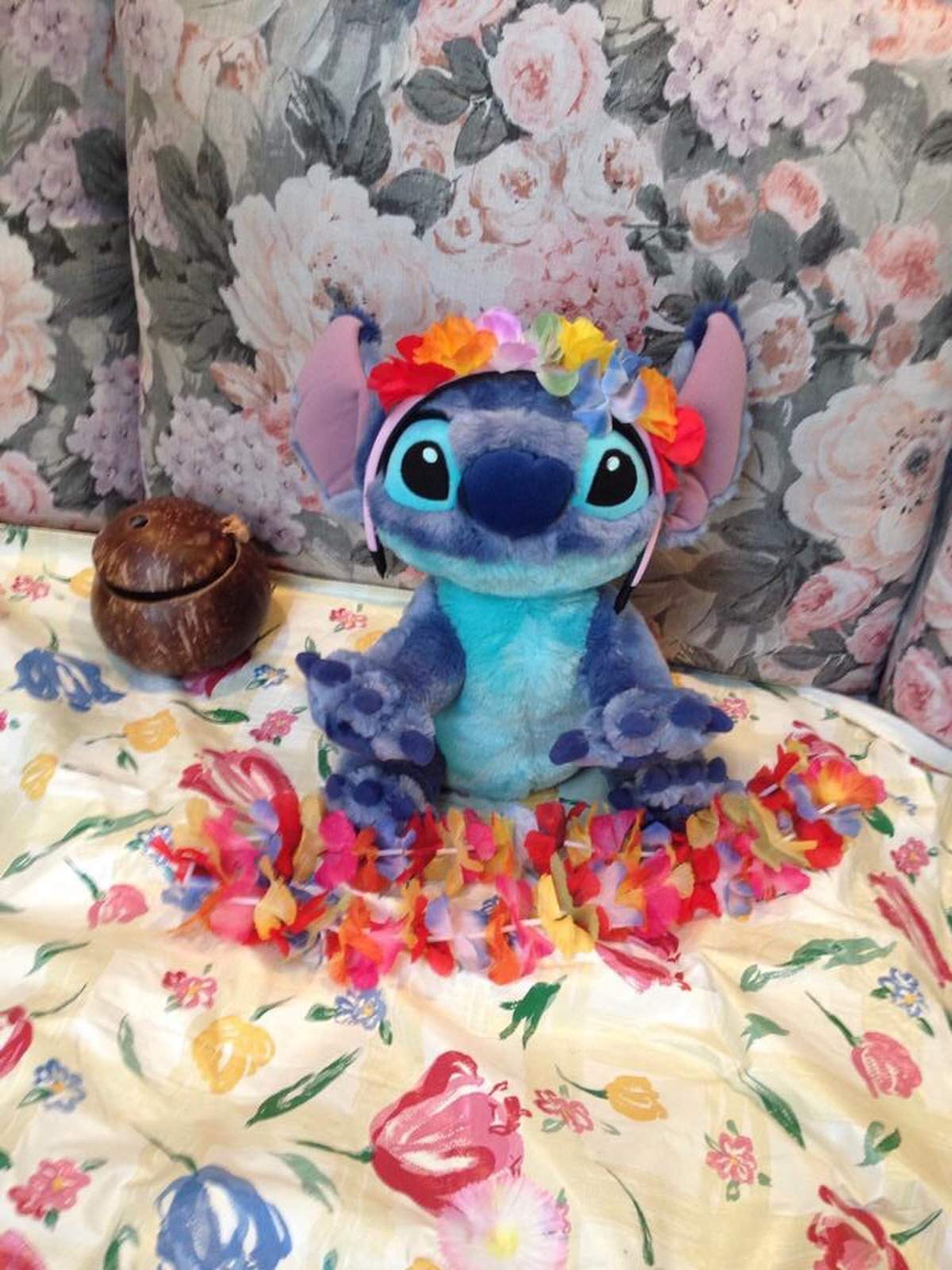 Lilo & Stitch / Movie Night "Lilo and Stitch Movie Night" | Catch My Party