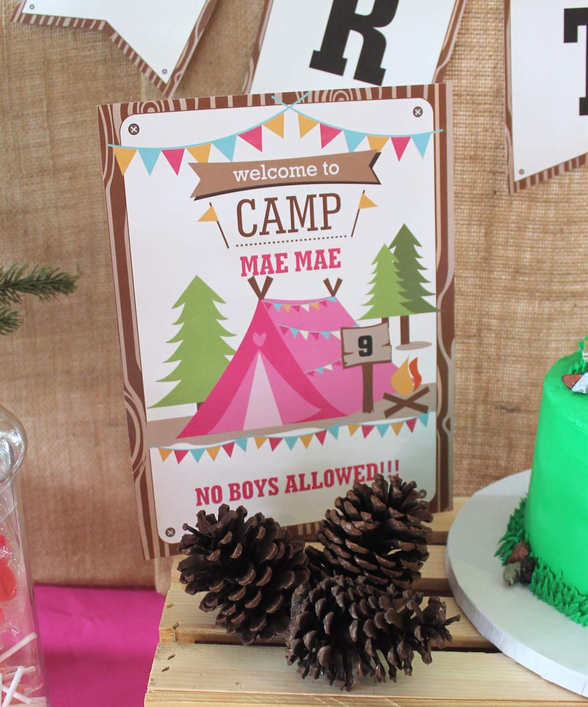 Camping / Summer Camp Birthday Party Ideas | Photo 1 of 25 | Catch My Party