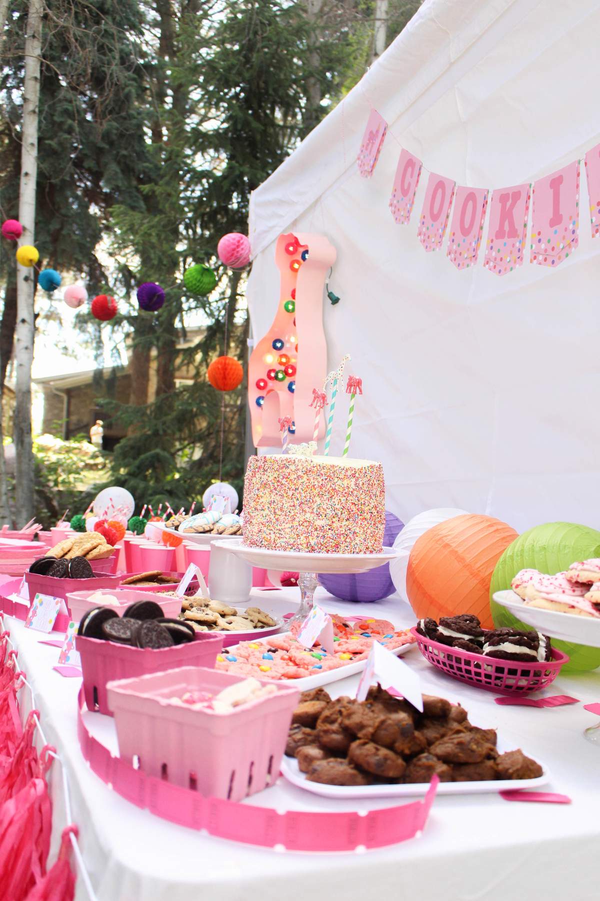 Frosted Circus Animal Cookies Birthday Party Ideas | Photo 6 of 35 ...