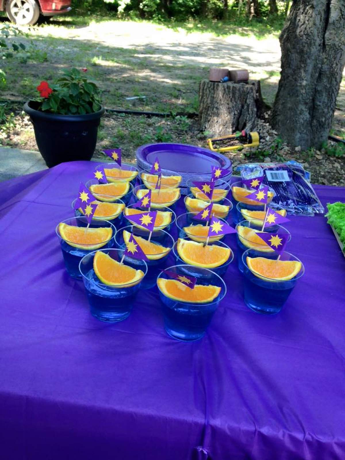 Tangled (Rapunzel) Birthday Party Ideas | Photo 1 of 11 | Catch My Party