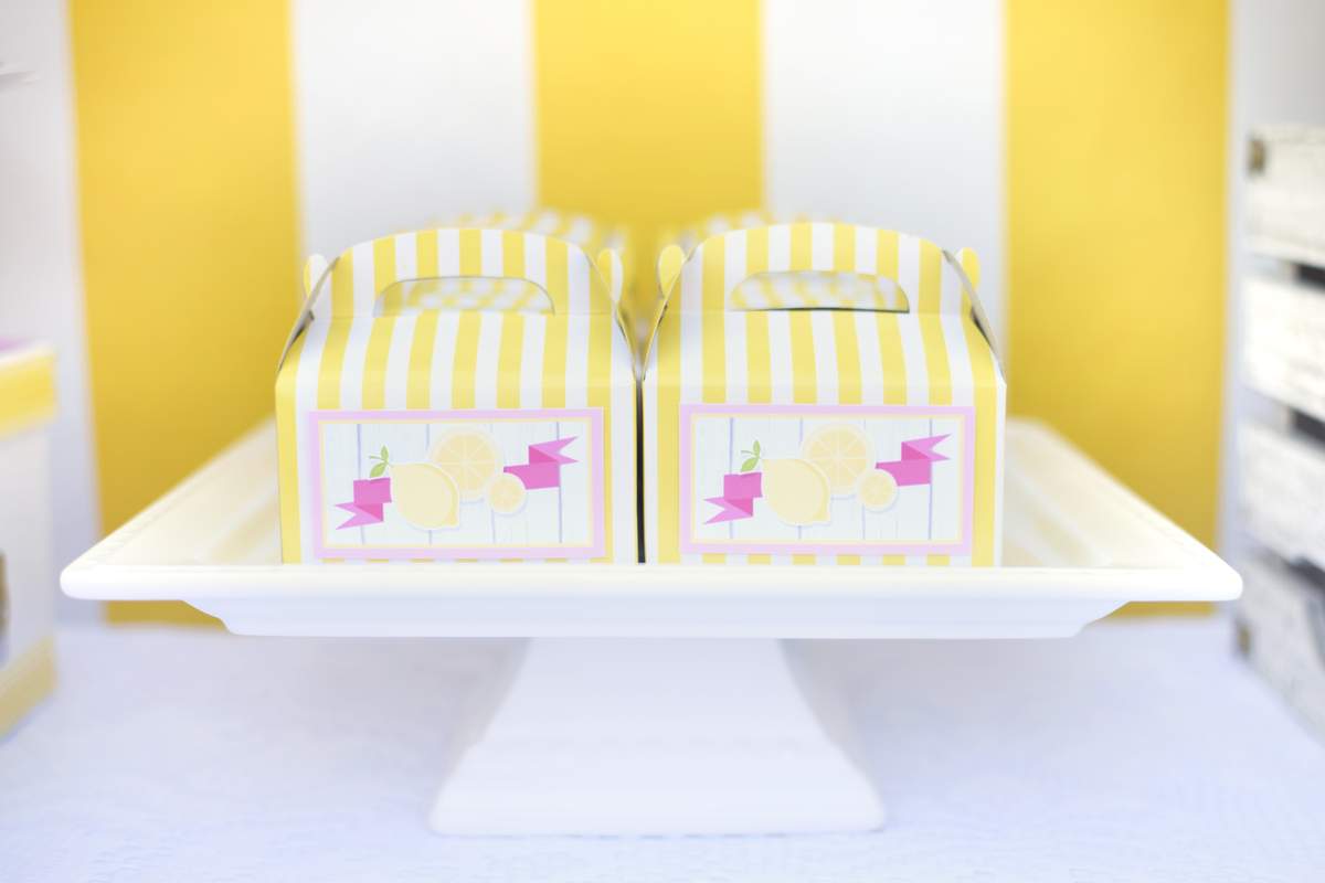 Pink Lemonade Birthday Party Ideas | Photo 12 of 40 | Catch My Party