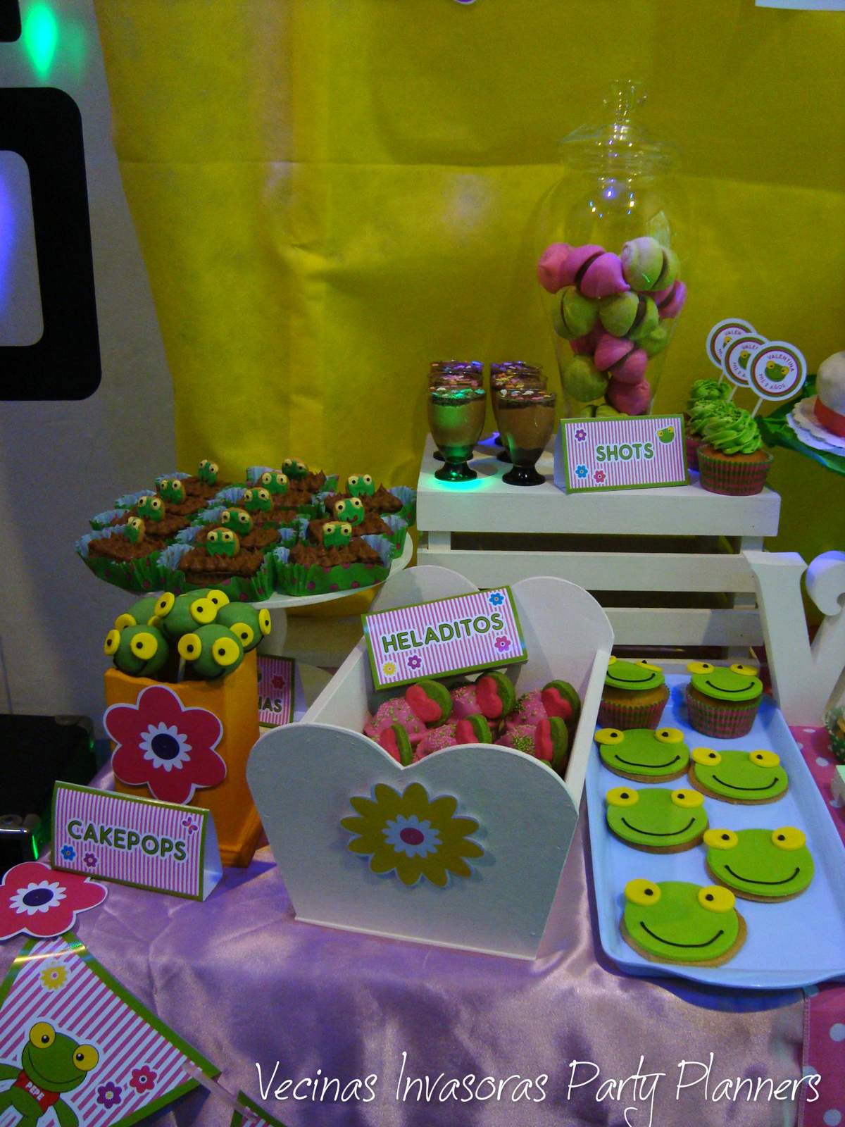 Sapo Pepe Birthday Party Ideas | Photo 2 of 13 | Catch My Party