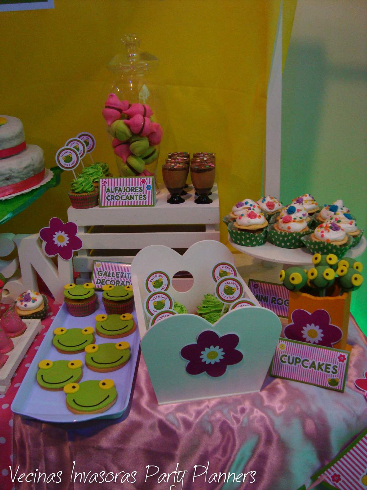 Sapo Pepe Birthday Party Ideas | Photo 2 of 13 | Catch My Party