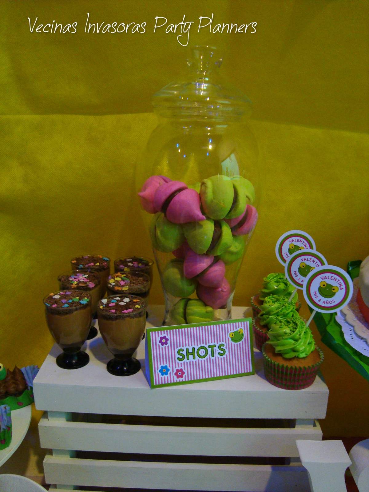 Sapo Pepe Birthday Party Ideas | Photo 2 of 13 | Catch My Party