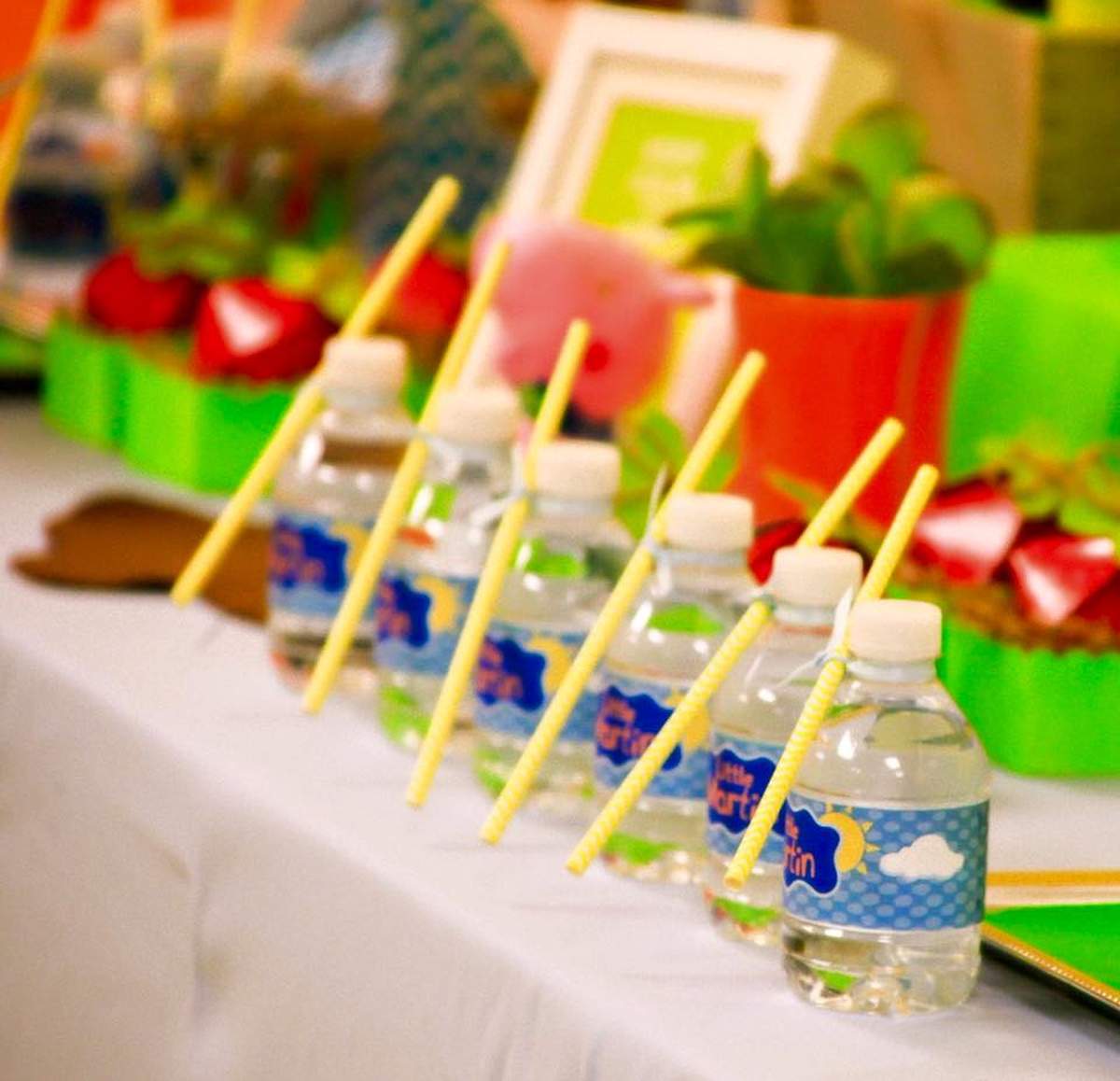 Little George Pig / Birthday "Little George Pig Party" | Catch My Party