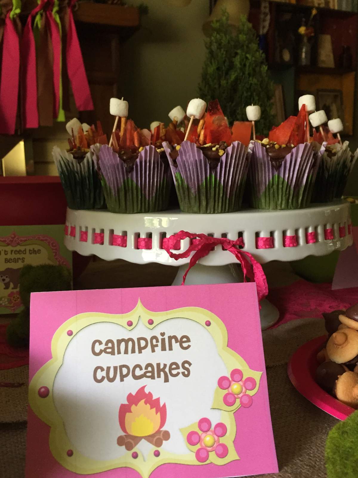 Glamping, Camping, Sleep-over, Birthday, Girl Birthday, Tween Party ...