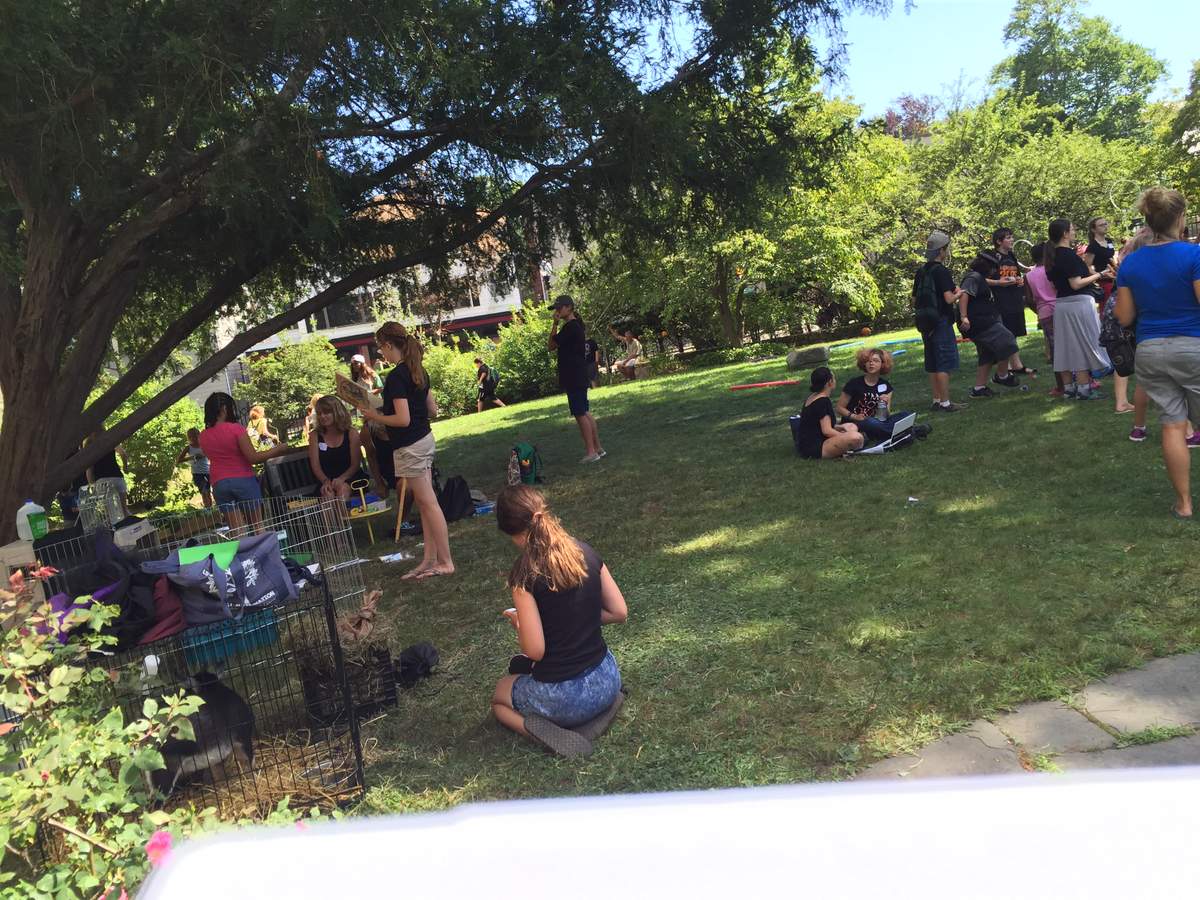 Harry Potter Educational Role Playing Event Party Ideas | Photo 7 of 52 ...