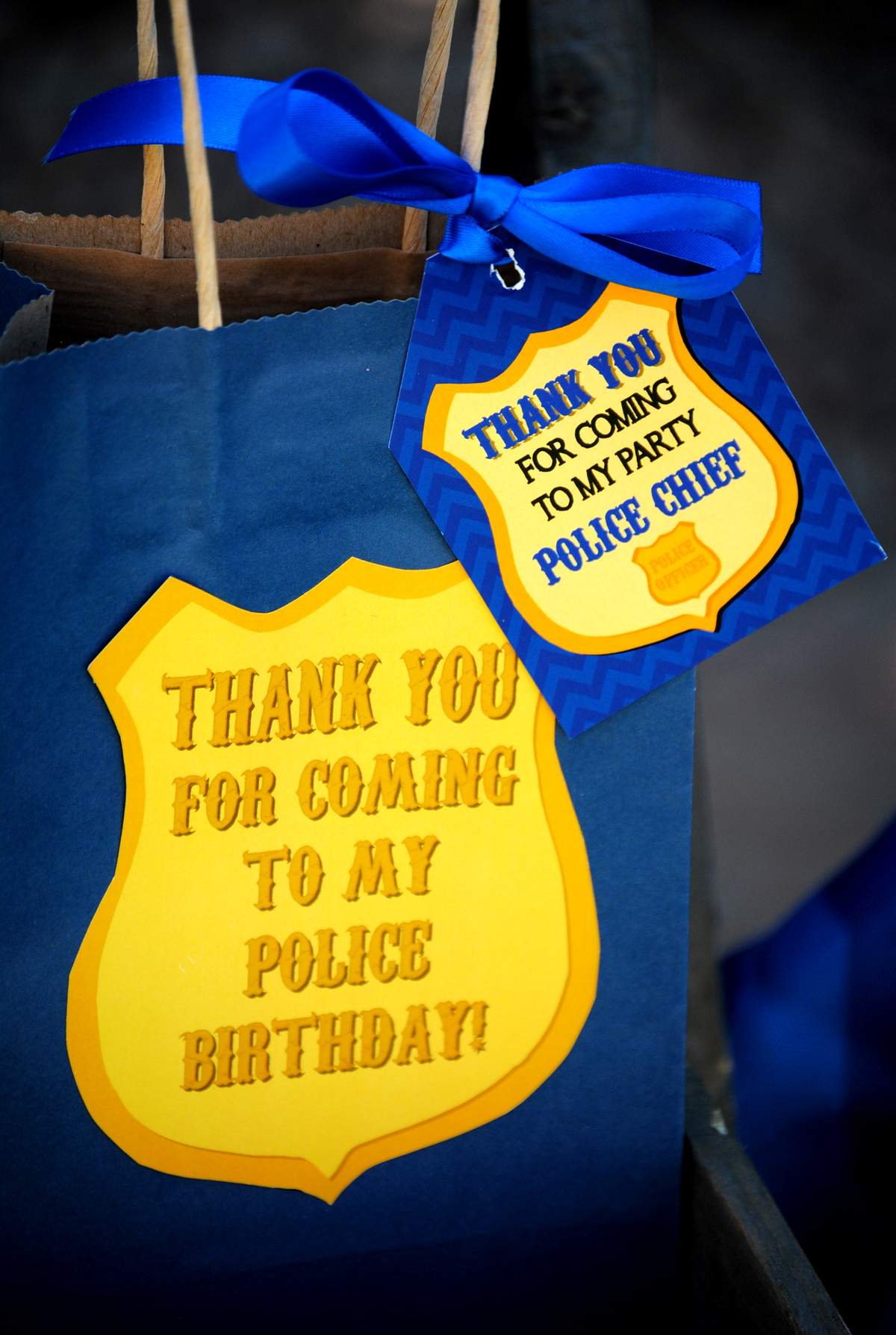Cop Birthday Party Ideas | Photo 1 of 137 | Catch My Party