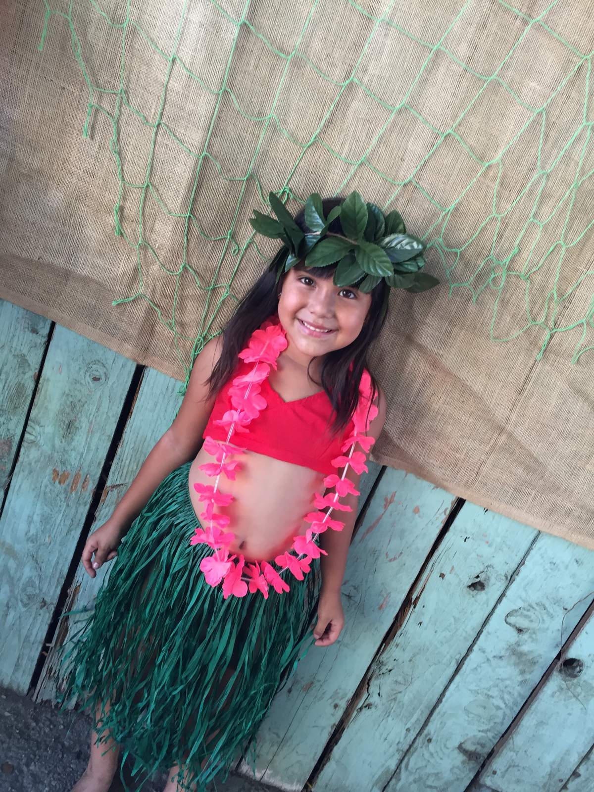 Diy Lilo Hula Costume