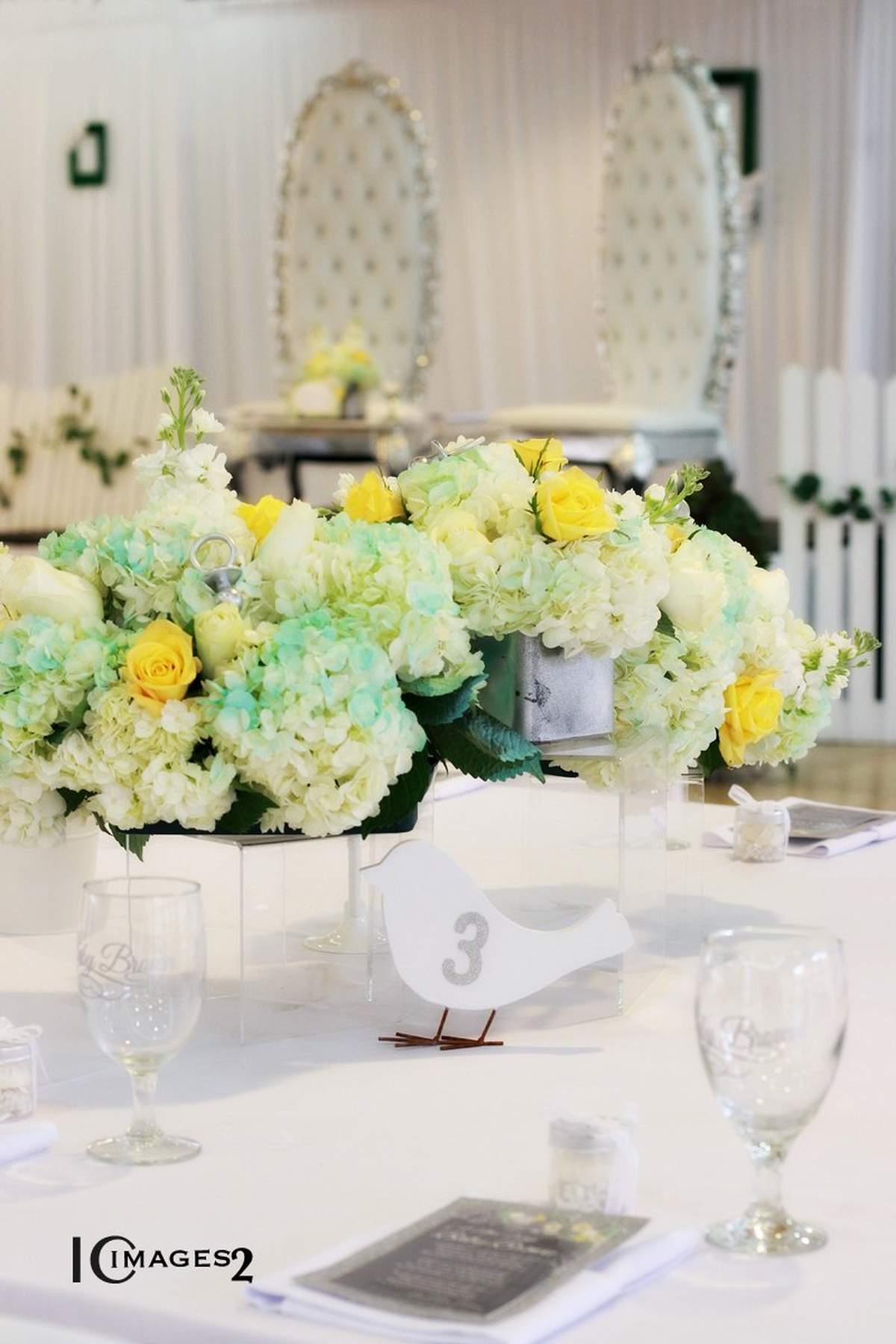 Gender Reveal / Baby Shower "Modern Day Vintage Garden " | Catch My Party