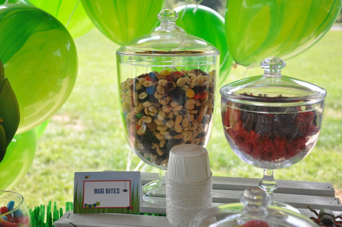 Bugs Birthday Party Ideas | Photo 5 of 25 | Catch My Party